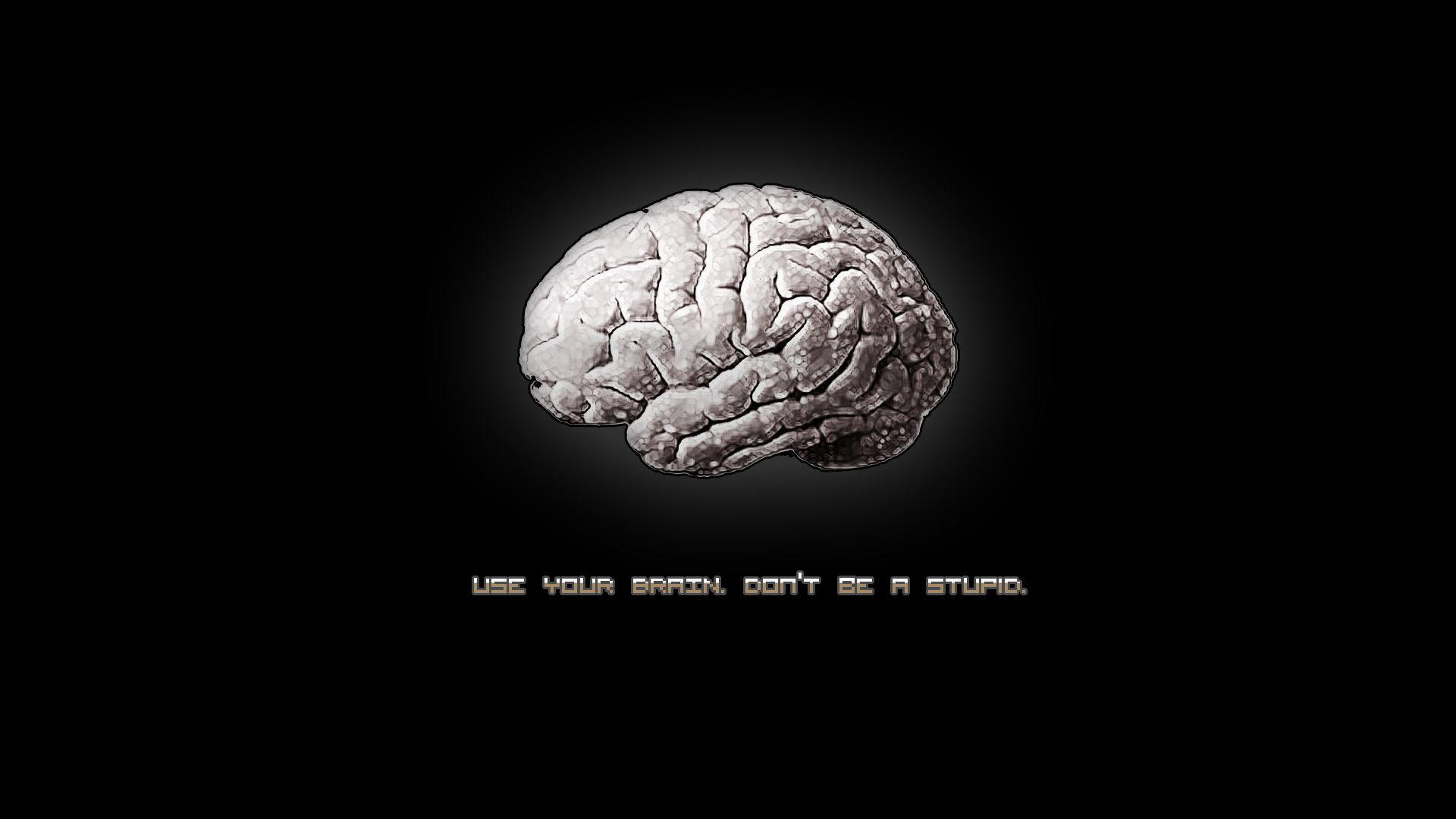 Train Your Brain Wallpapers - Top Free Train Your Brain Backgrounds ...
