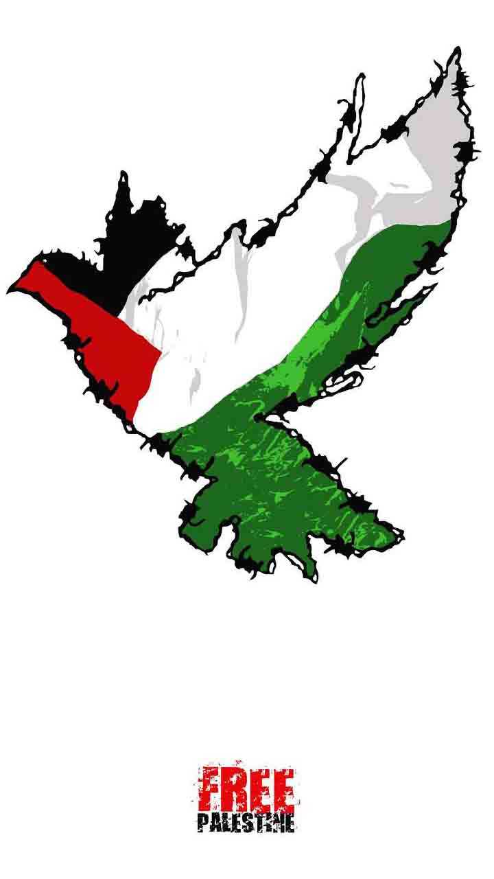 Gaza Wallpapers - Top Free Gaza Backgrounds - WallpaperAccess