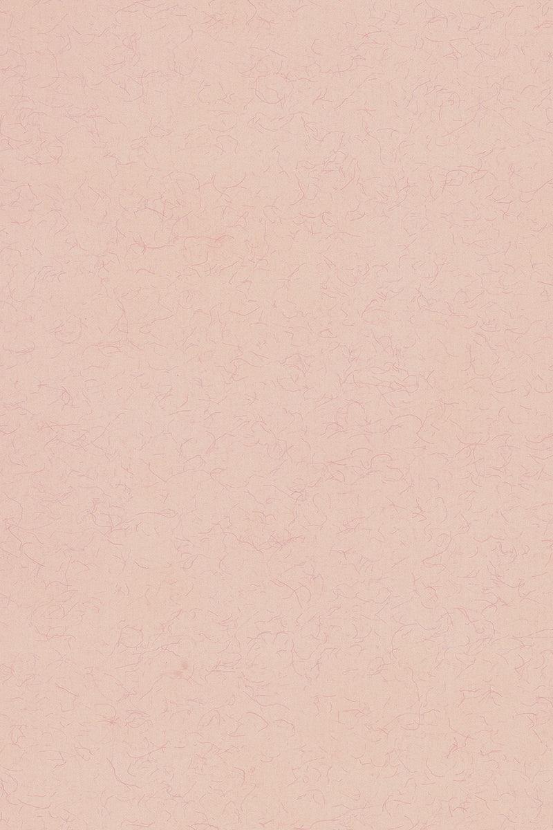 Salmon Pink Wallpapers - Top Free Salmon Pink Backgrounds - WallpaperAccess