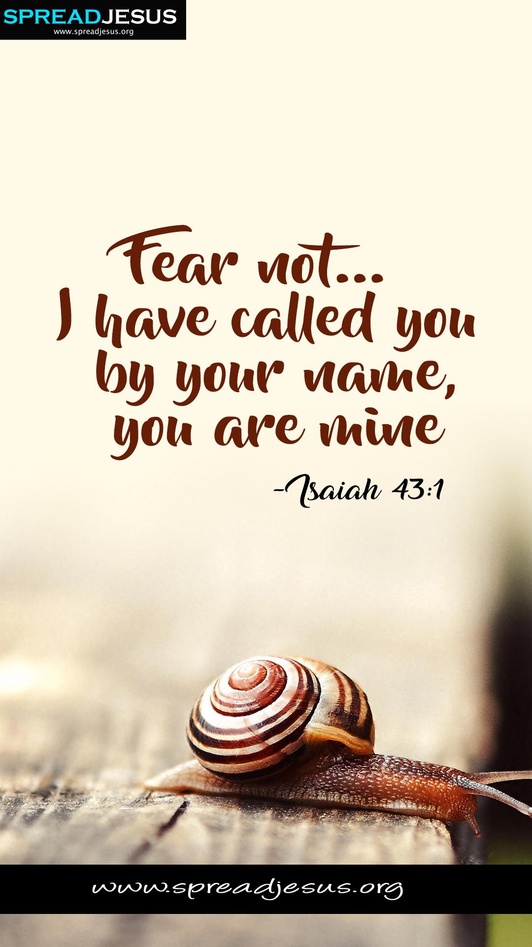 Fear Not Wallpapers - Top Free Fear Not Backgrounds - WallpaperAccess