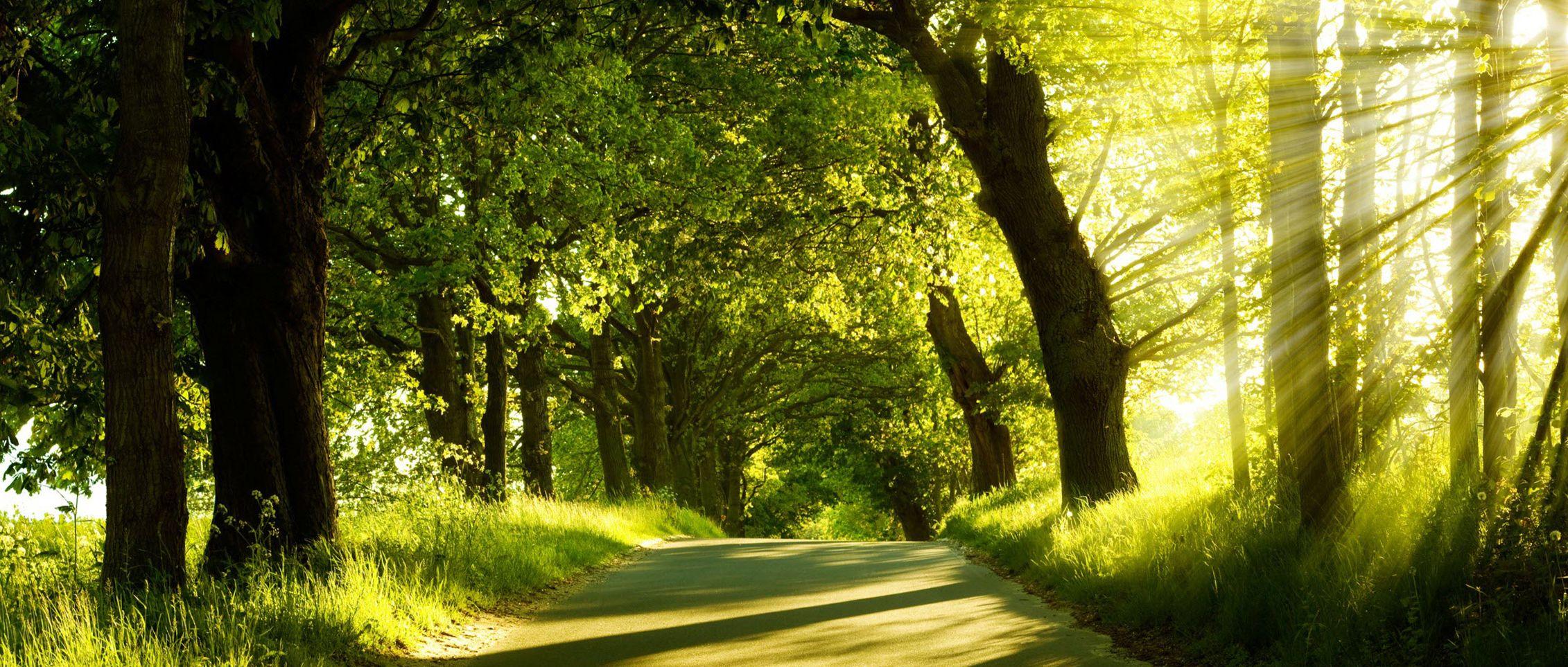 Cool Mother Nature Wallpapers - Top Free Cool Mother Nature Backgrounds ...