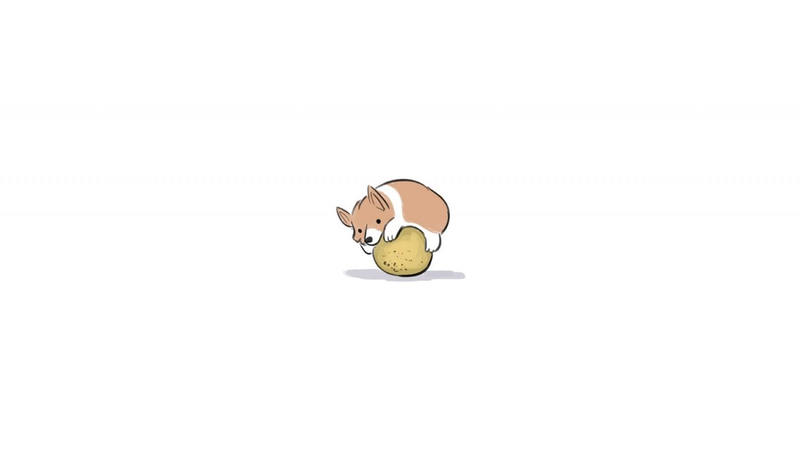 Minimal Dog Wallpapers - Top Free Minimal Dog Backgrounds - WallpaperAccess