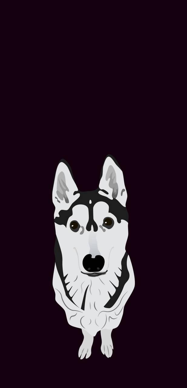Minimal Dog Wallpapers - Top Free Minimal Dog Backgrounds - WallpaperAccess