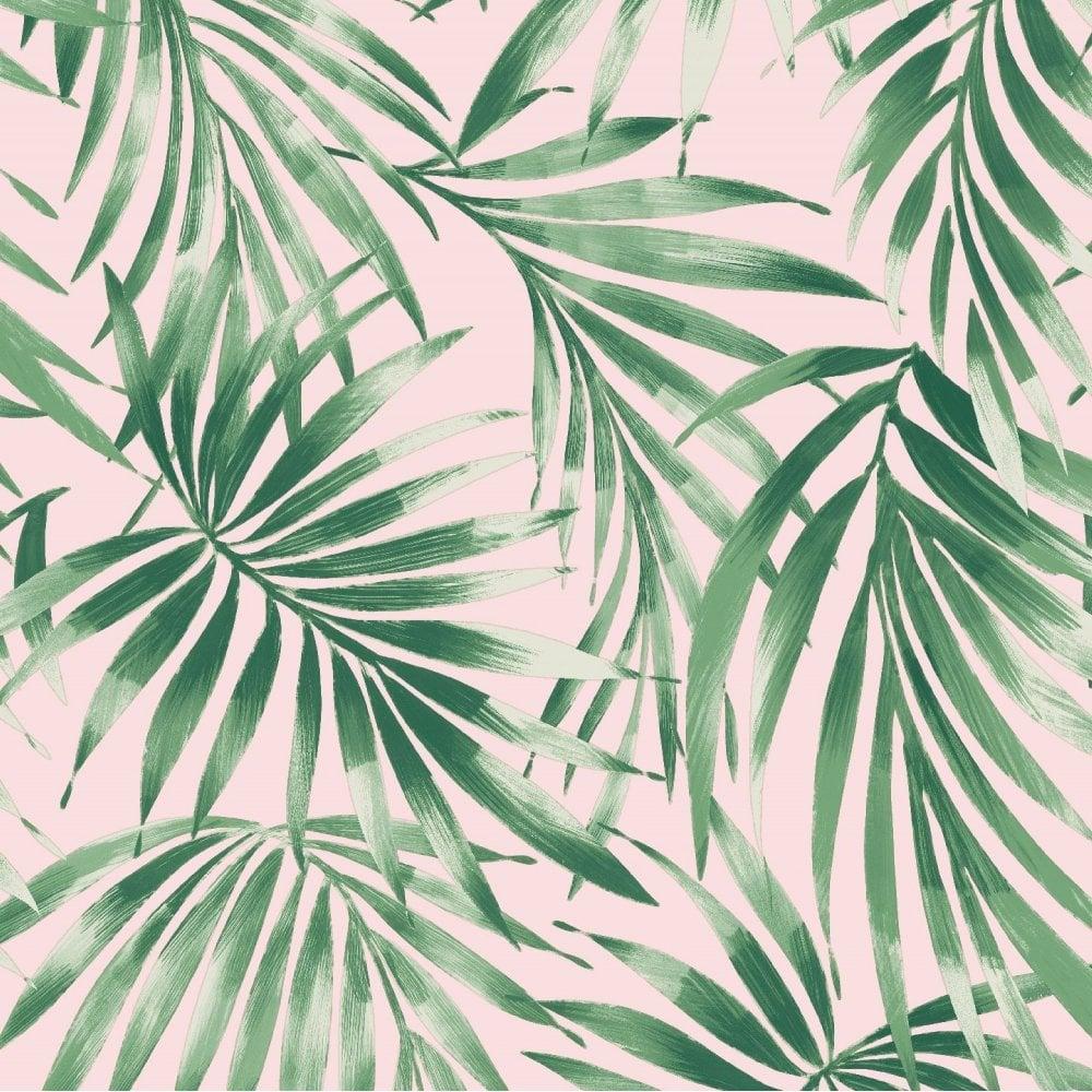 Pink Tropical Wallpapers - Top Free Pink Tropical Backgrounds ...
