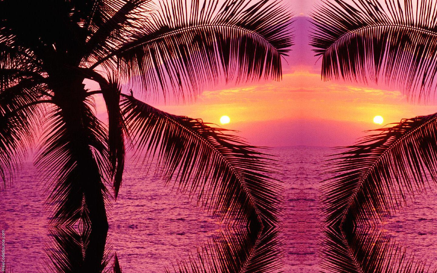 Pink Tropical Wallpapers - Top Free Pink Tropical Backgrounds ...