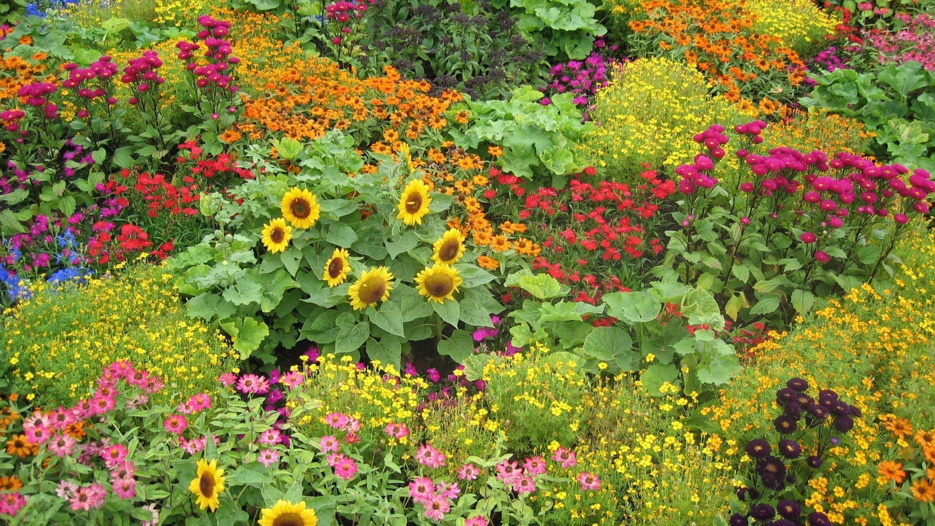 English Rose Garden Wallpapers - Top Free English Rose Garden ...