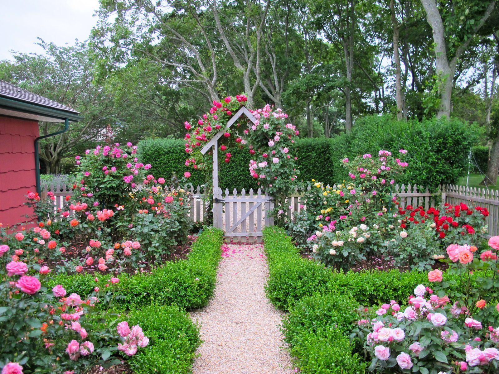English Rose Garden Wallpapers - Top Free English Rose Garden ...