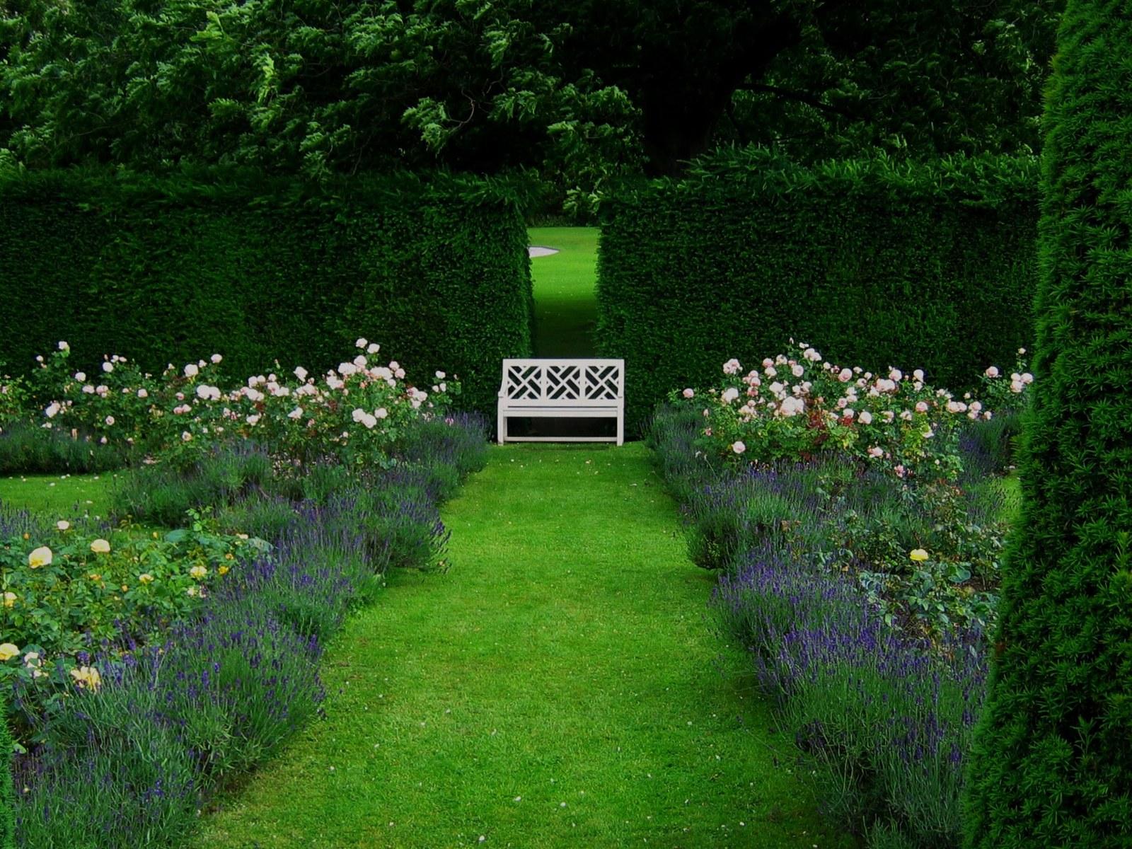 English Rose Garden Wallpapers - Top Free English Rose Garden ...