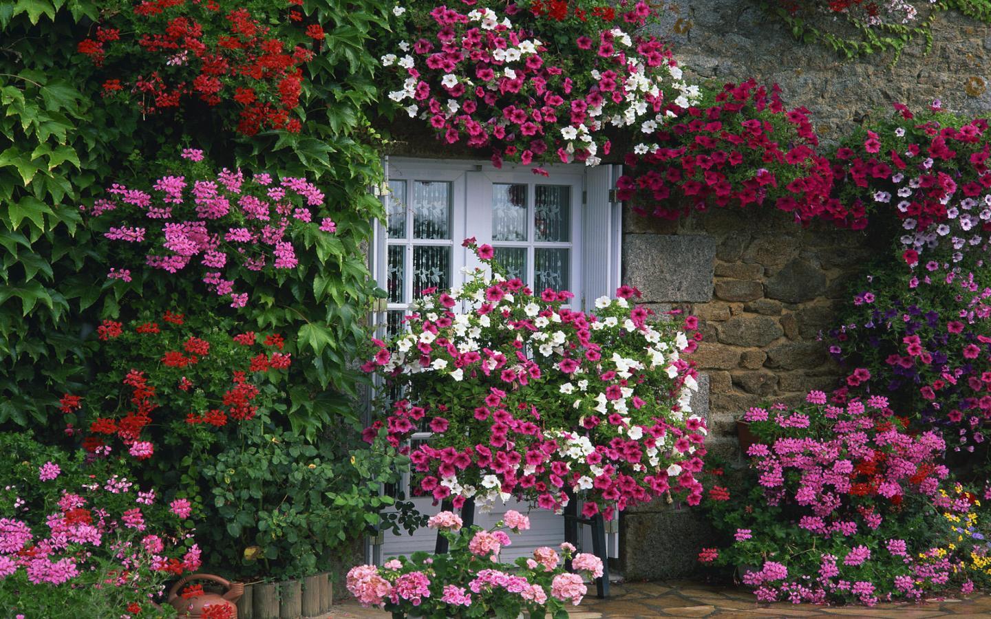 English Flower Garden Wallpapers - Top Free English Flower Garden ...