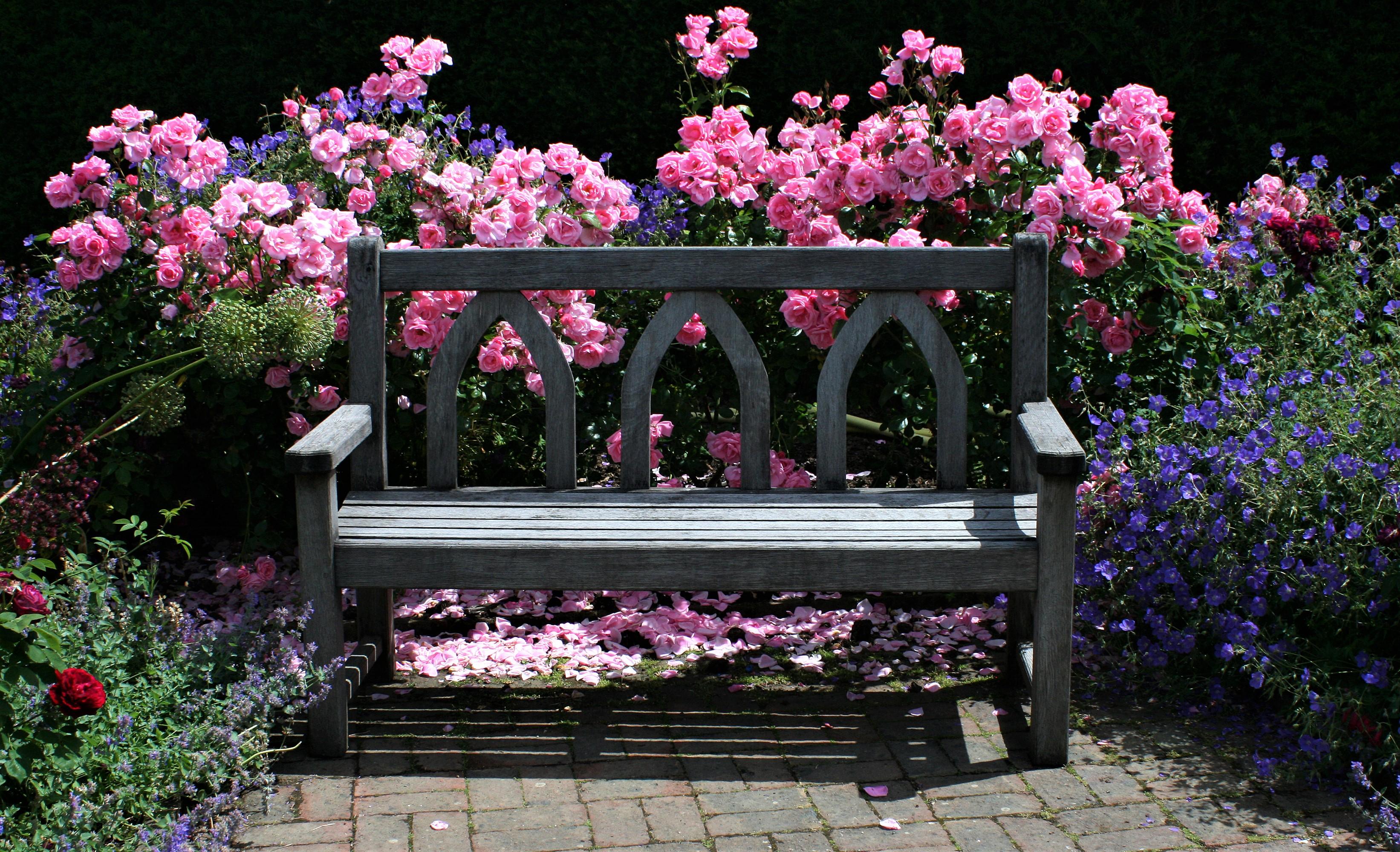 English Rose Garden Wallpapers - Top Free English Rose Garden ...