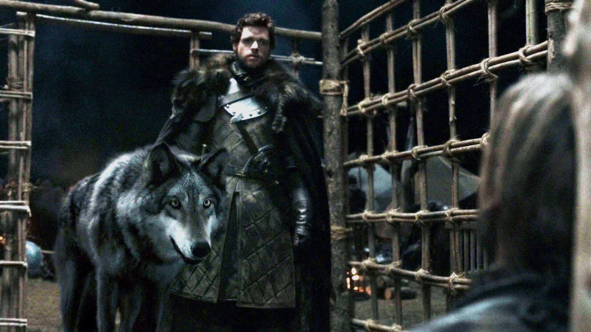 Game of Thrones Dire Wolf Wallpapers - Top Free Game of Thrones Dire ...