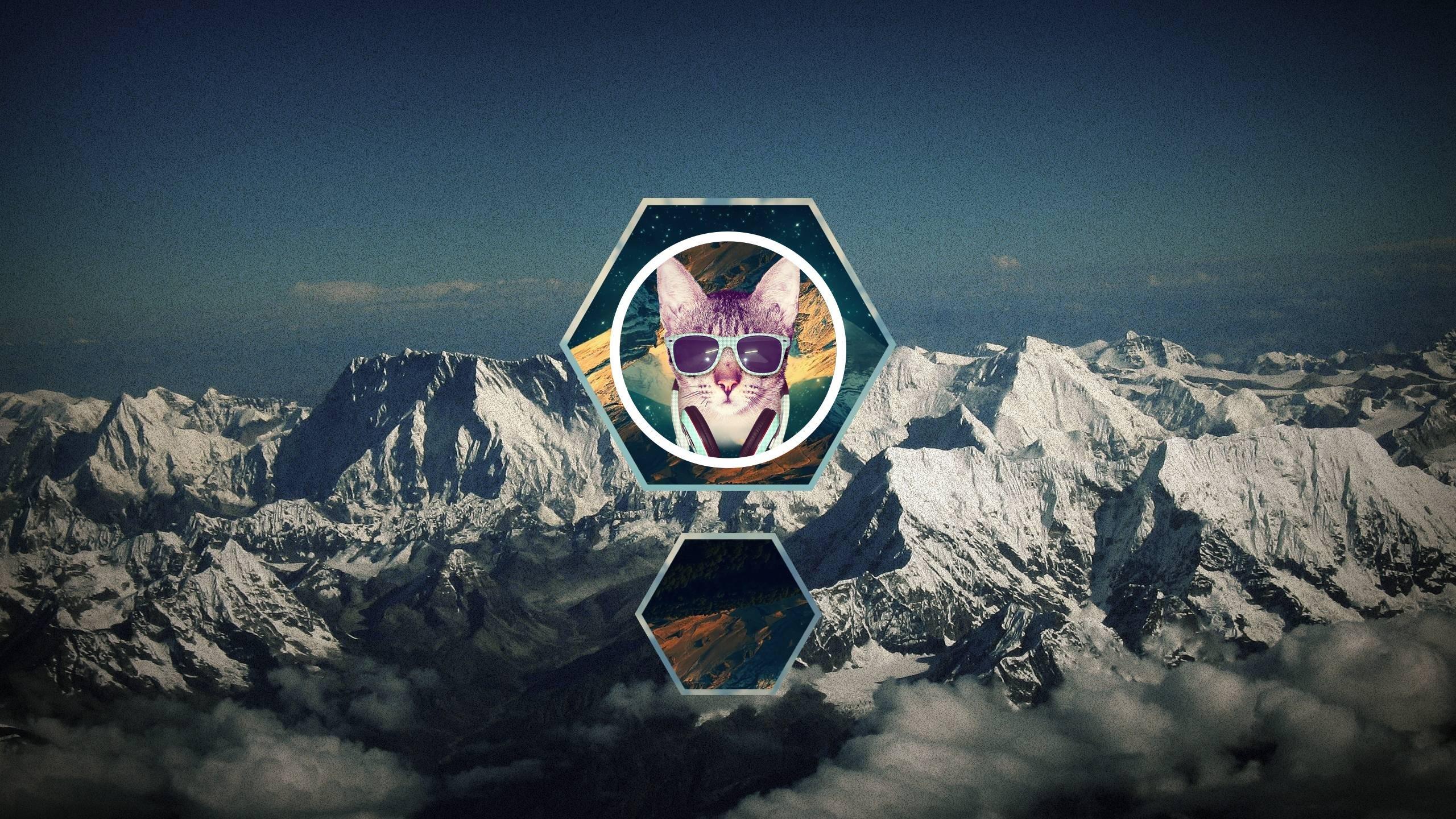 Coller Wallpapers - Top Free Coller Backgrounds - WallpaperAccess