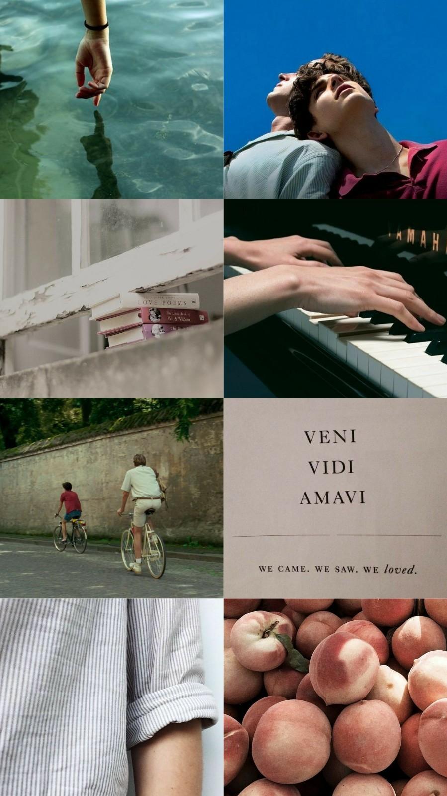 Call Me By Your Name Aesthetic Wallpapers - Top Free Call Me By Your ...