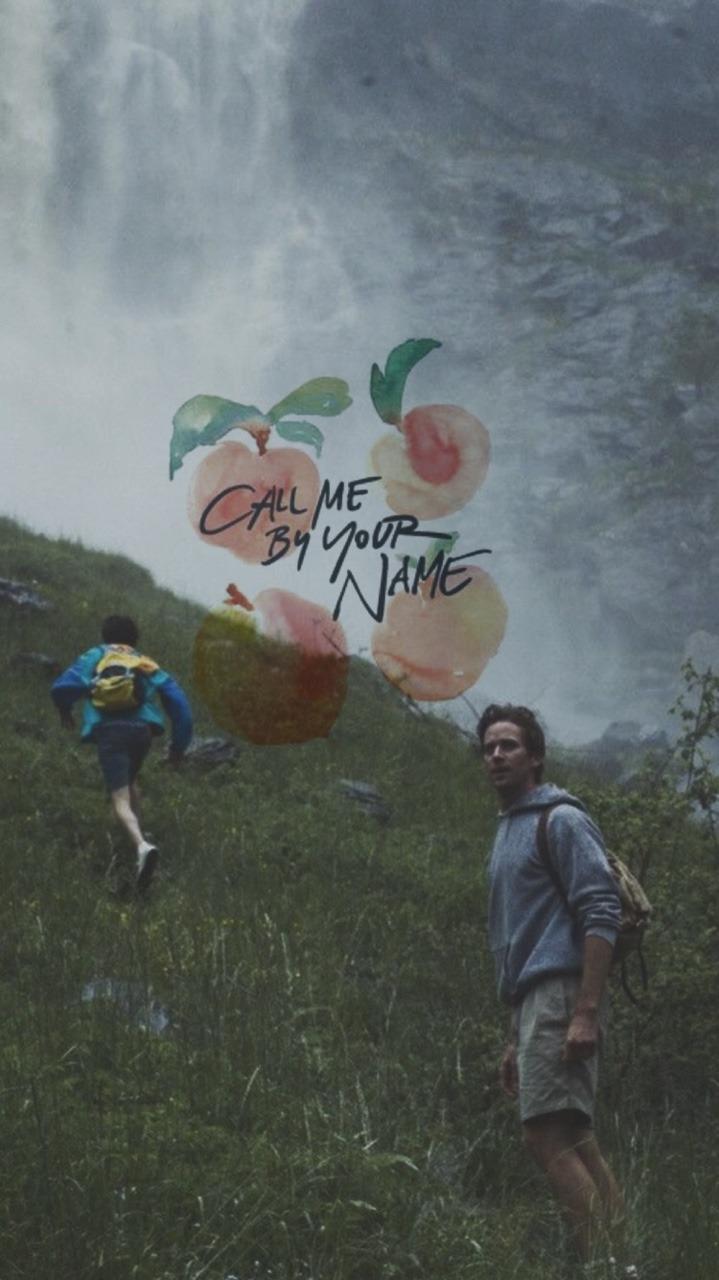 Call Me By Your Name Aesthetic Wallpapers - Top Free Call Me By Your ...