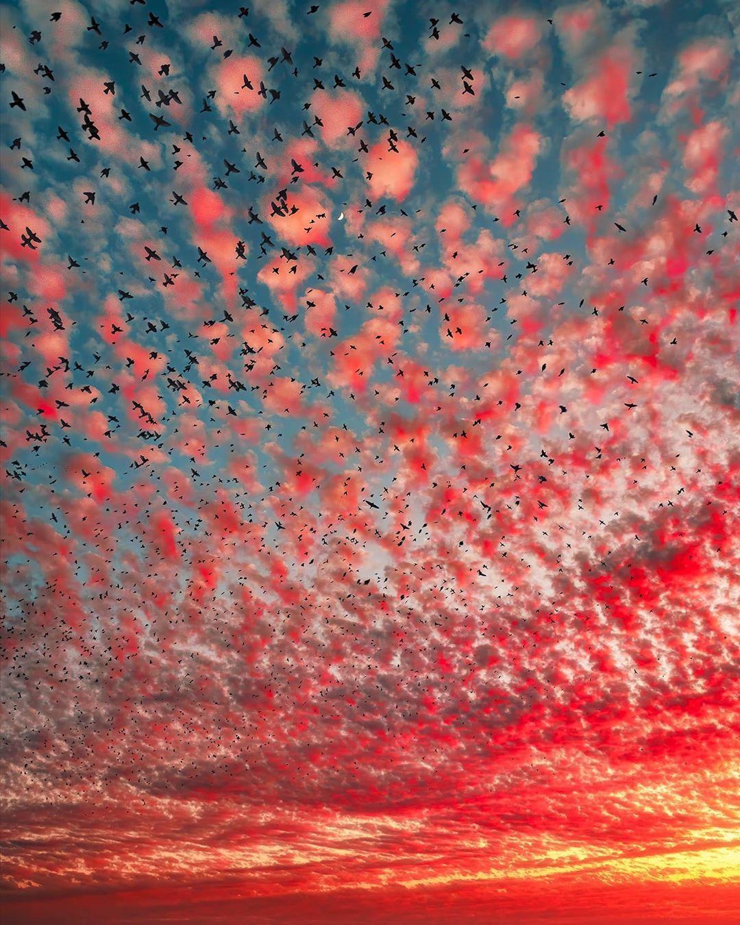 1080x1350 Wallpapers - Top Free 1080x1350 Backgrounds - WallpaperAccess