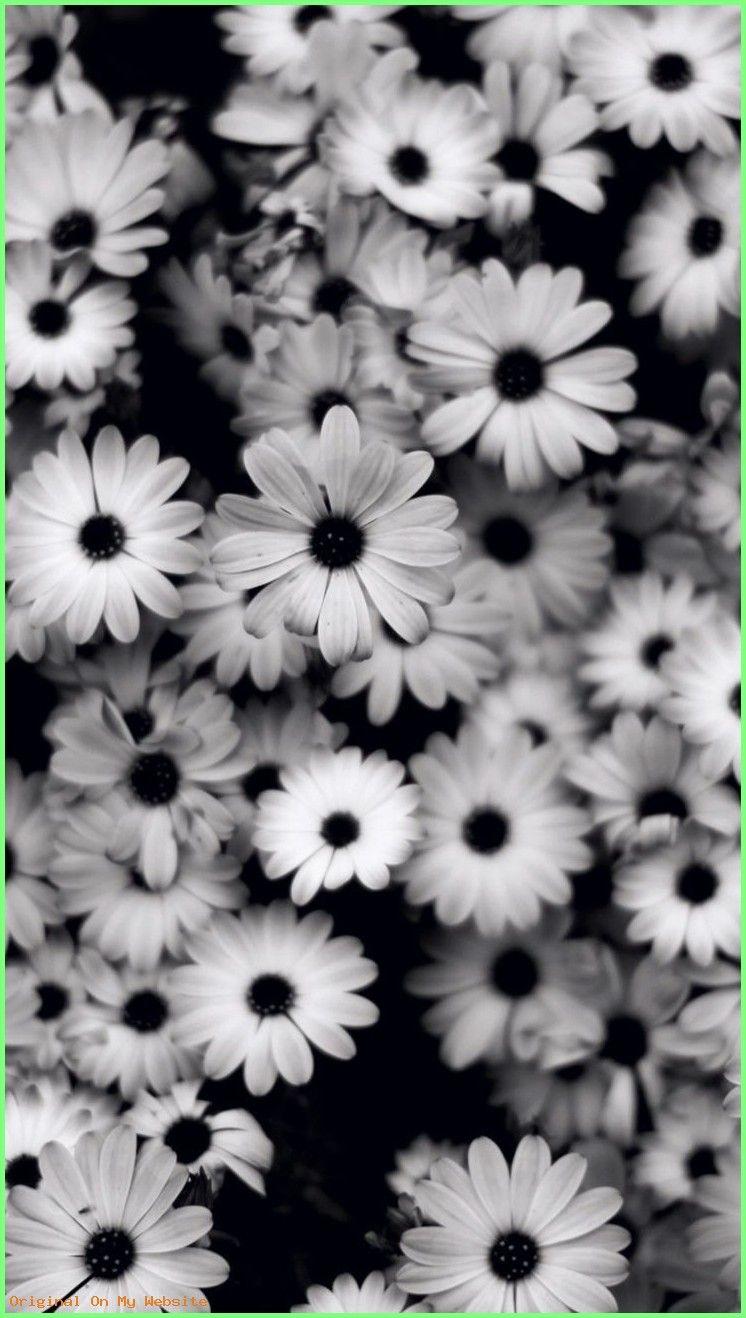 Dark White Wallpapers - Top Free Dark White Backgrounds - WallpaperAccess