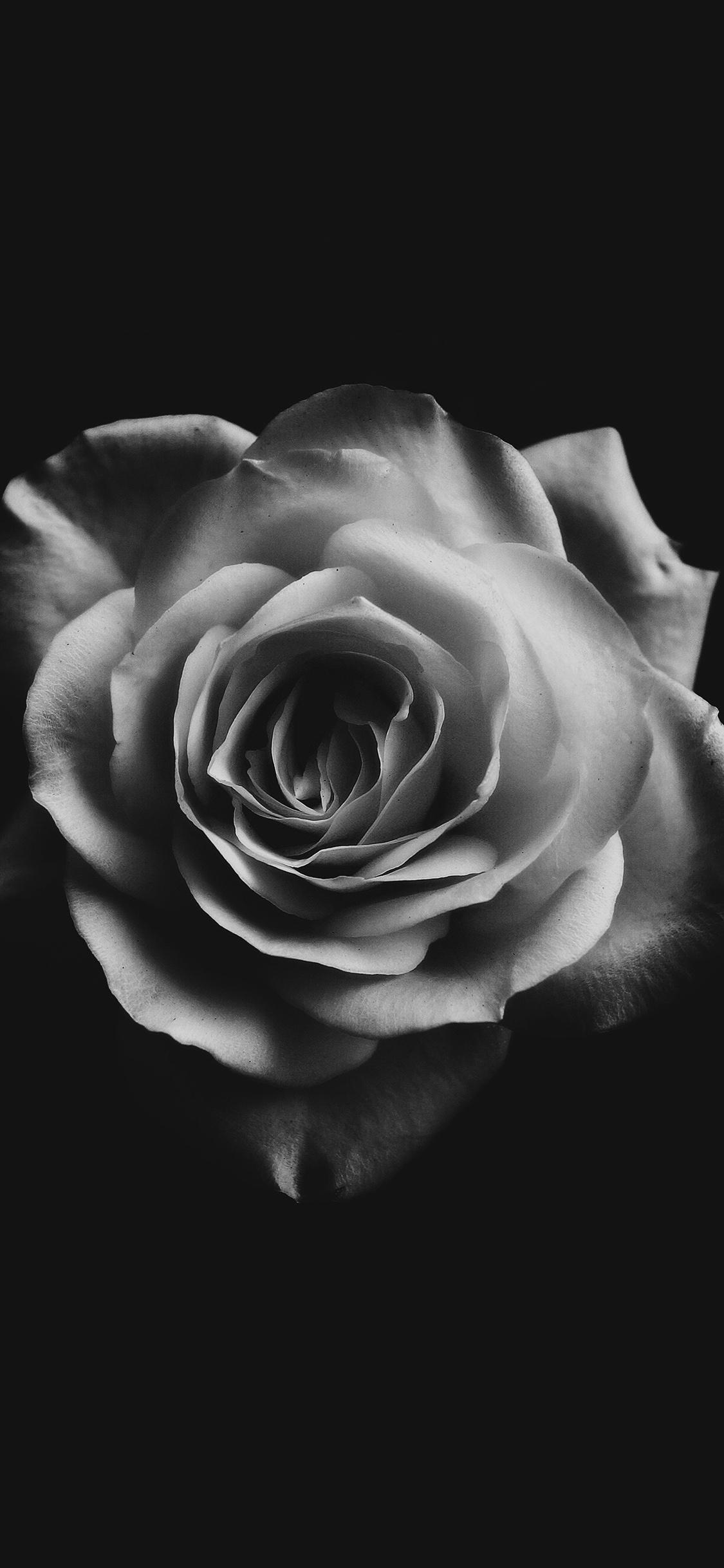 Dark White Wallpapers - Top Free Dark White Backgrounds - WallpaperAccess