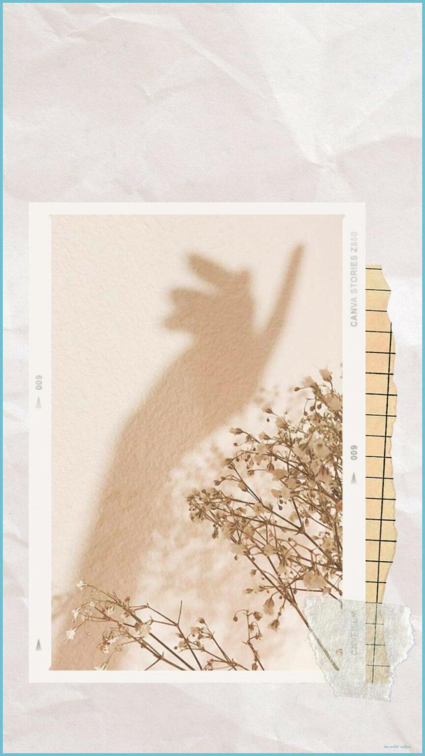 Beige Collage Wallpapers - Top Free Beige Collage Backgrounds ...