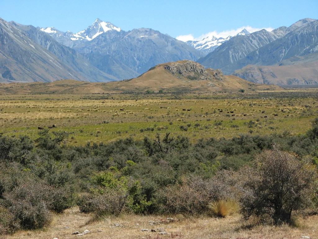 Edoras Wallpapers - Top Free Edoras Backgrounds - WallpaperAccess