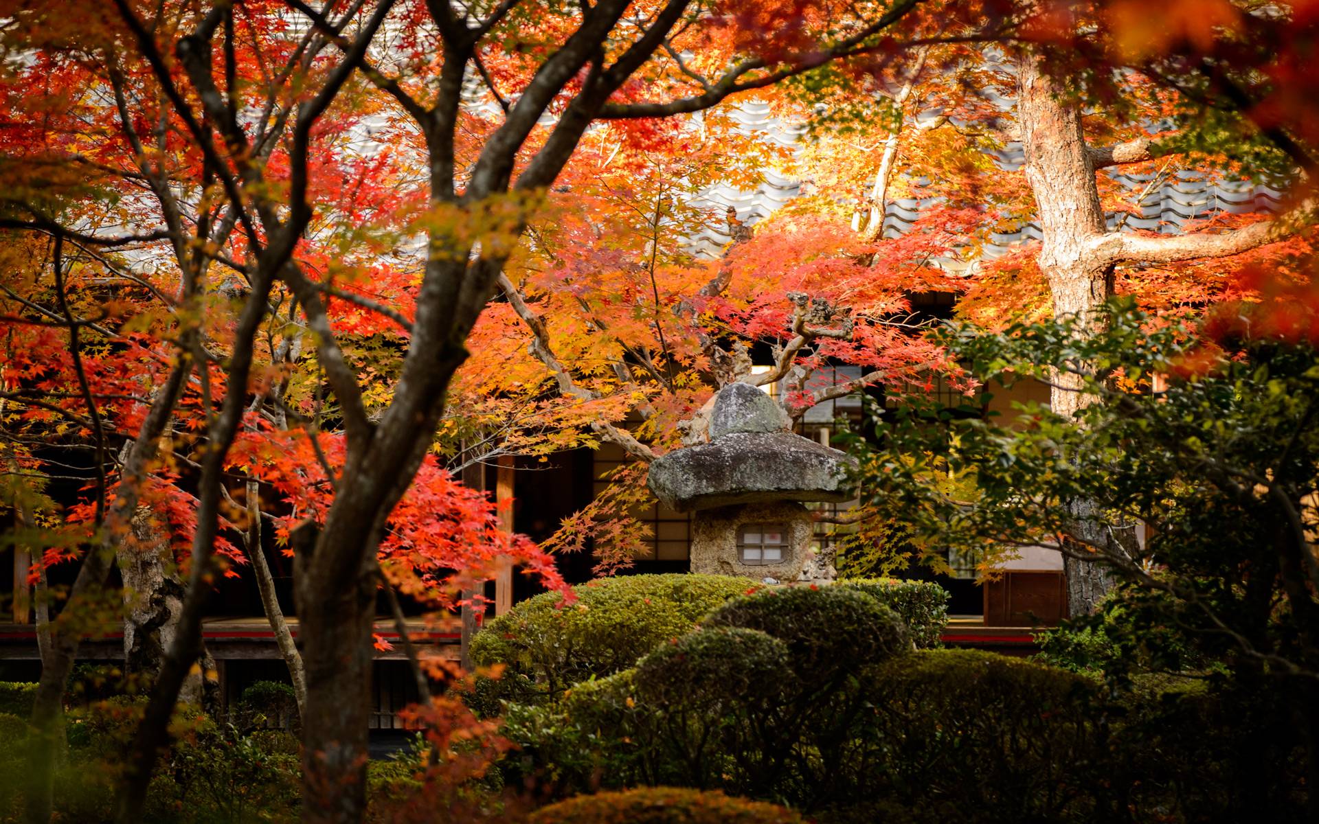 Kyoto Autumn Wallpapers - Top Free Kyoto Autumn Backgrounds ...