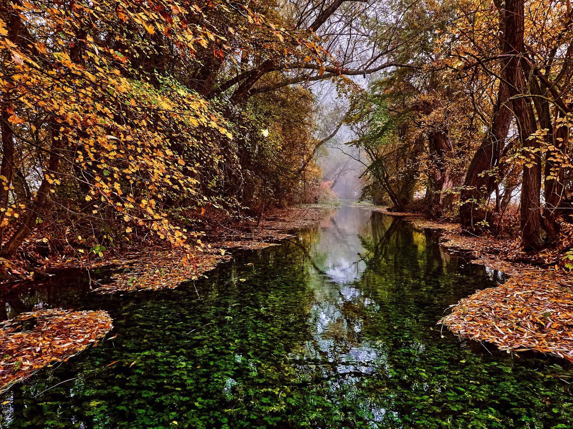 Germany Autumn Wallpapers - Top Free Germany Autumn Backgrounds ...