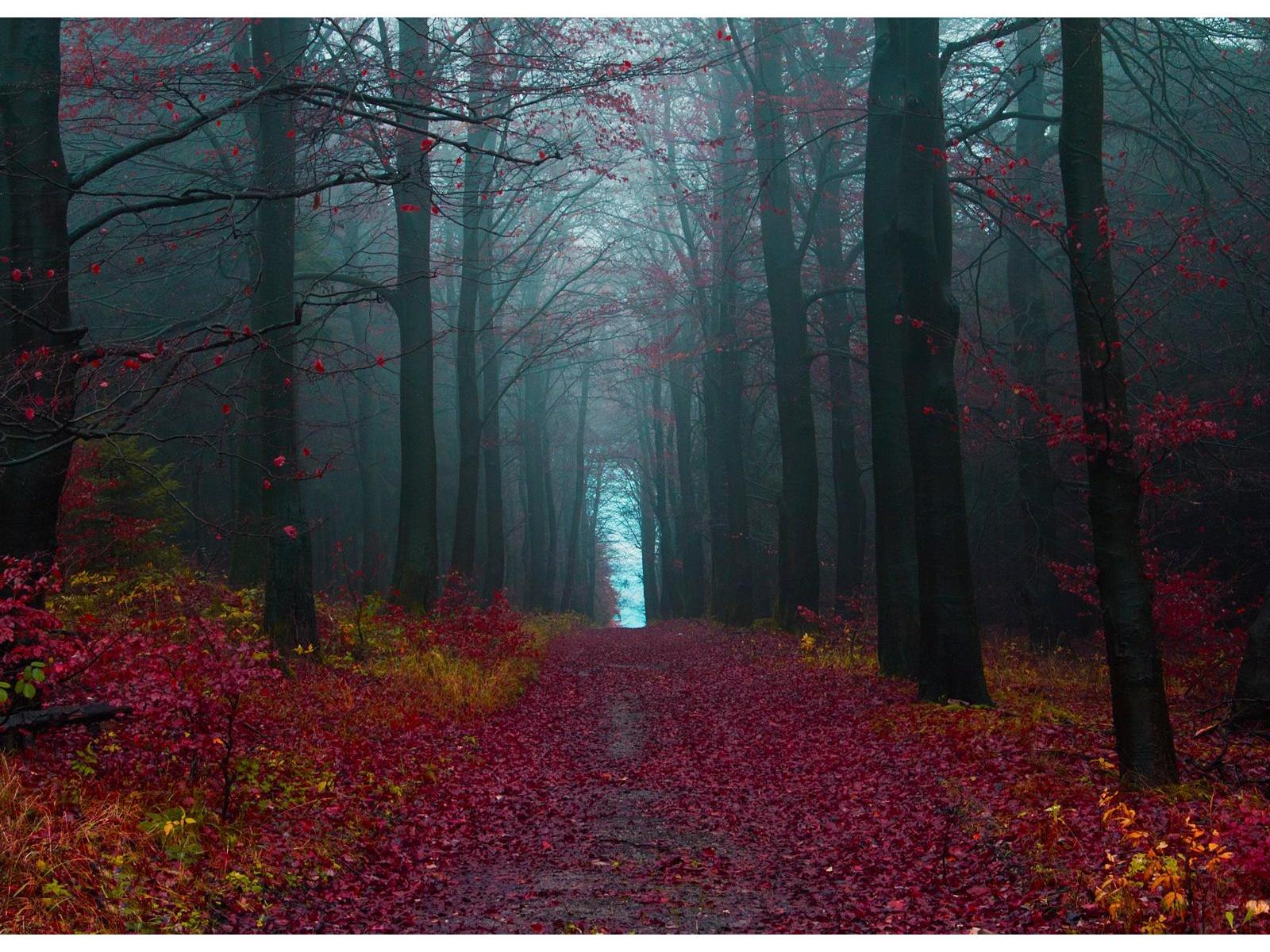 Germany Autumn Wallpapers - Top Free Germany Autumn Backgrounds ...