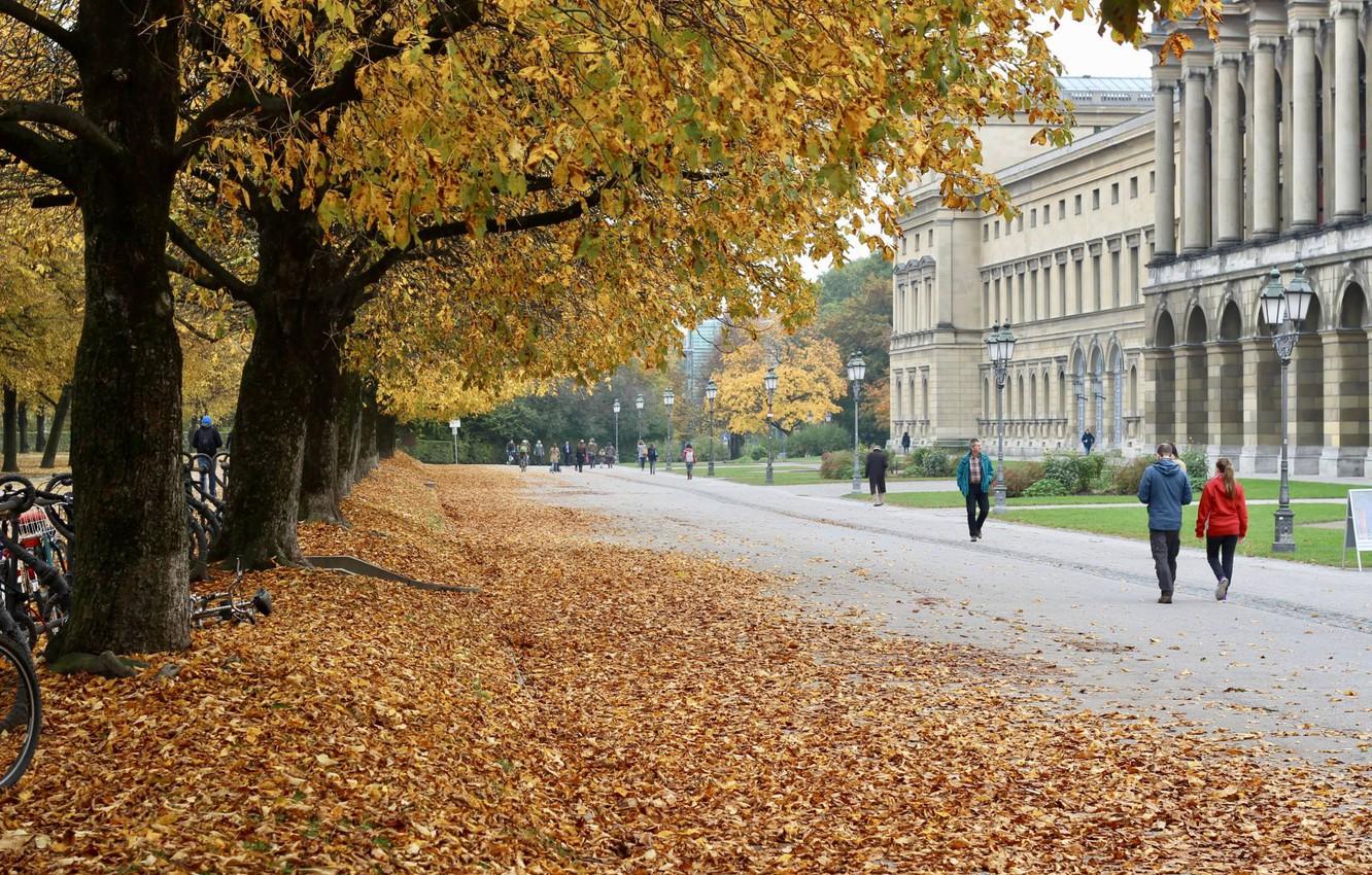 Germany Autumn Wallpapers - Top Free Germany Autumn Backgrounds ...