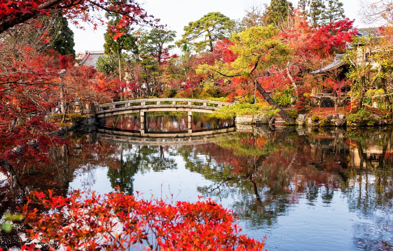 Kyoto Autumn Wallpapers - Top Free Kyoto Autumn Backgrounds ...