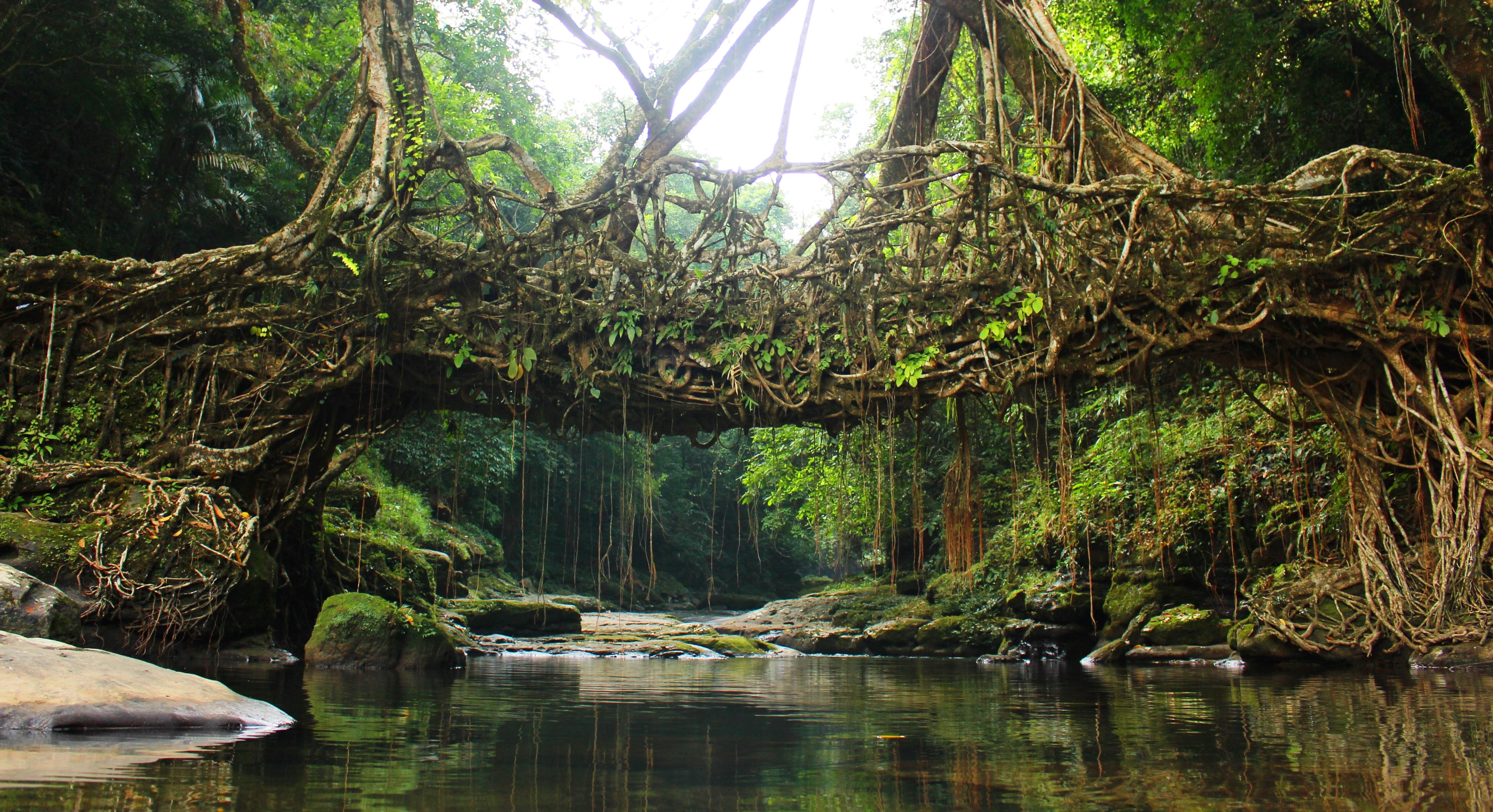 Meghalaya Wallpapers - Top Free Meghalaya Backgrounds - WallpaperAccess