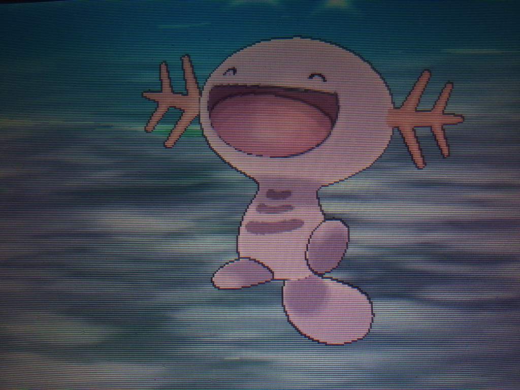 Wooper Wallpapers - Top Free Wooper Backgrounds - WallpaperAccess