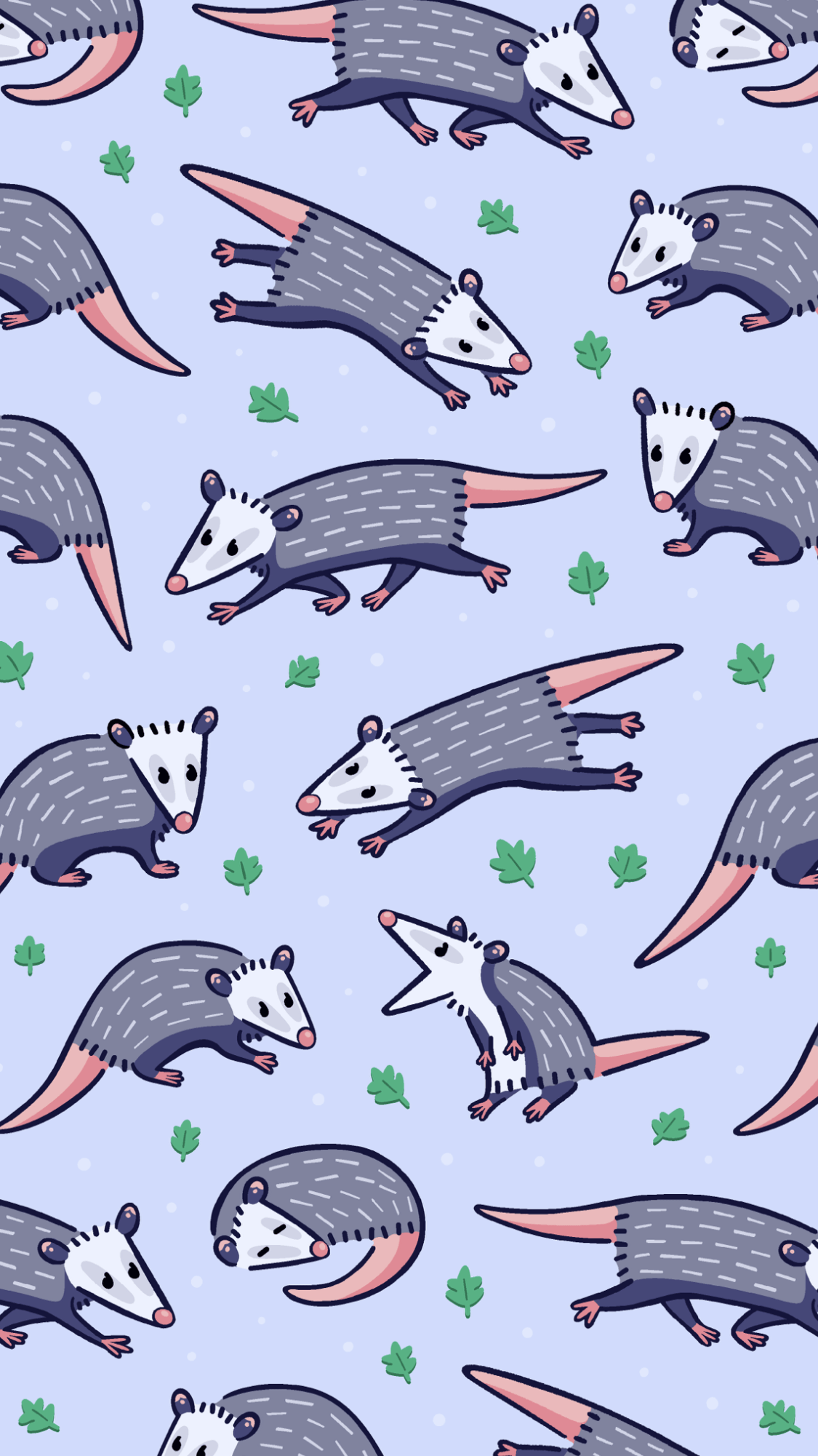 Baby Possum Wallpapers - Top Free Baby Possum Backgrounds - WallpaperAccess