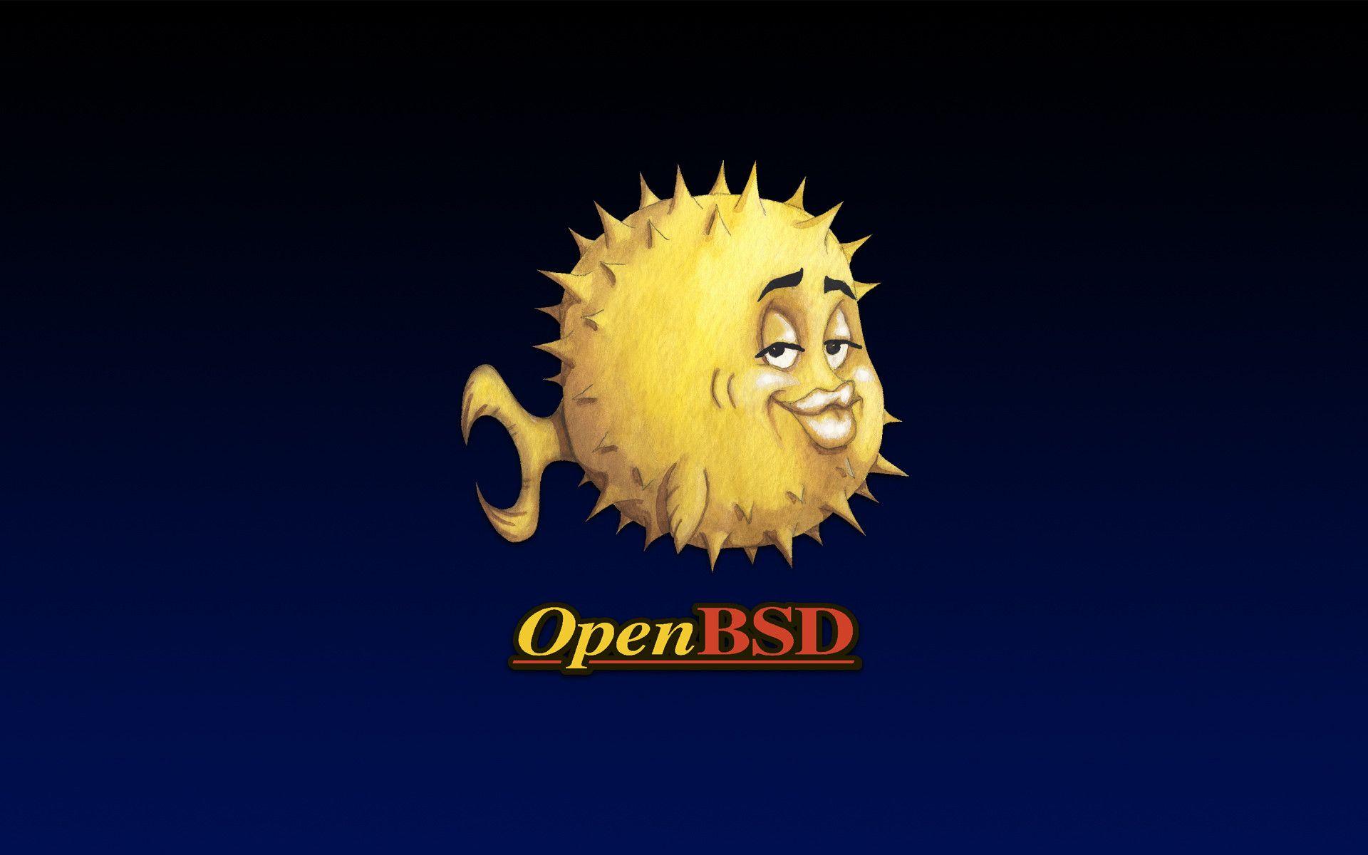 OpenBSD Wallpapers - Top Free OpenBSD Backgrounds - WallpaperAccess