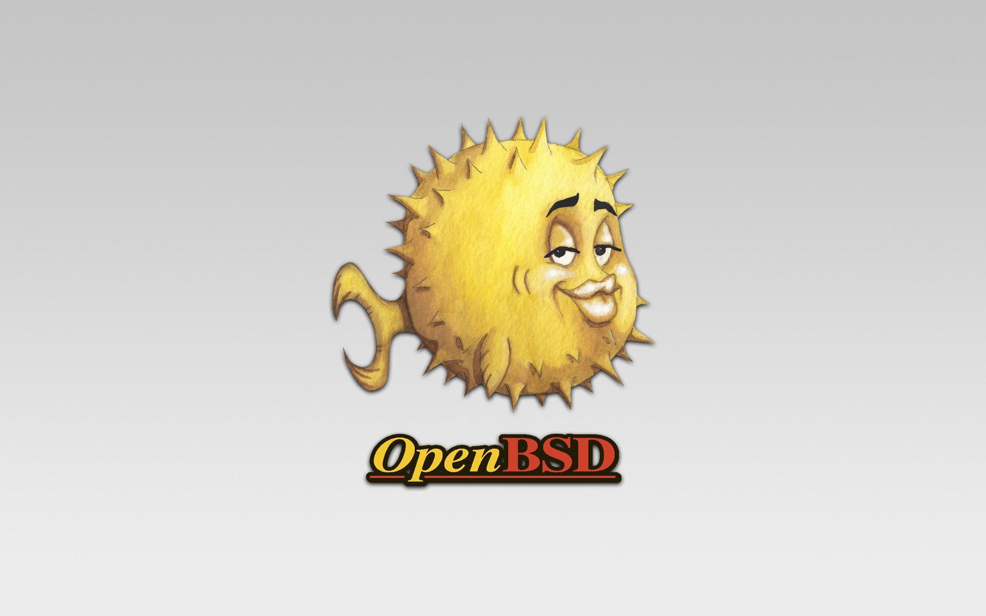 OpenBSD Wallpapers - Top Free OpenBSD Backgrounds - WallpaperAccess