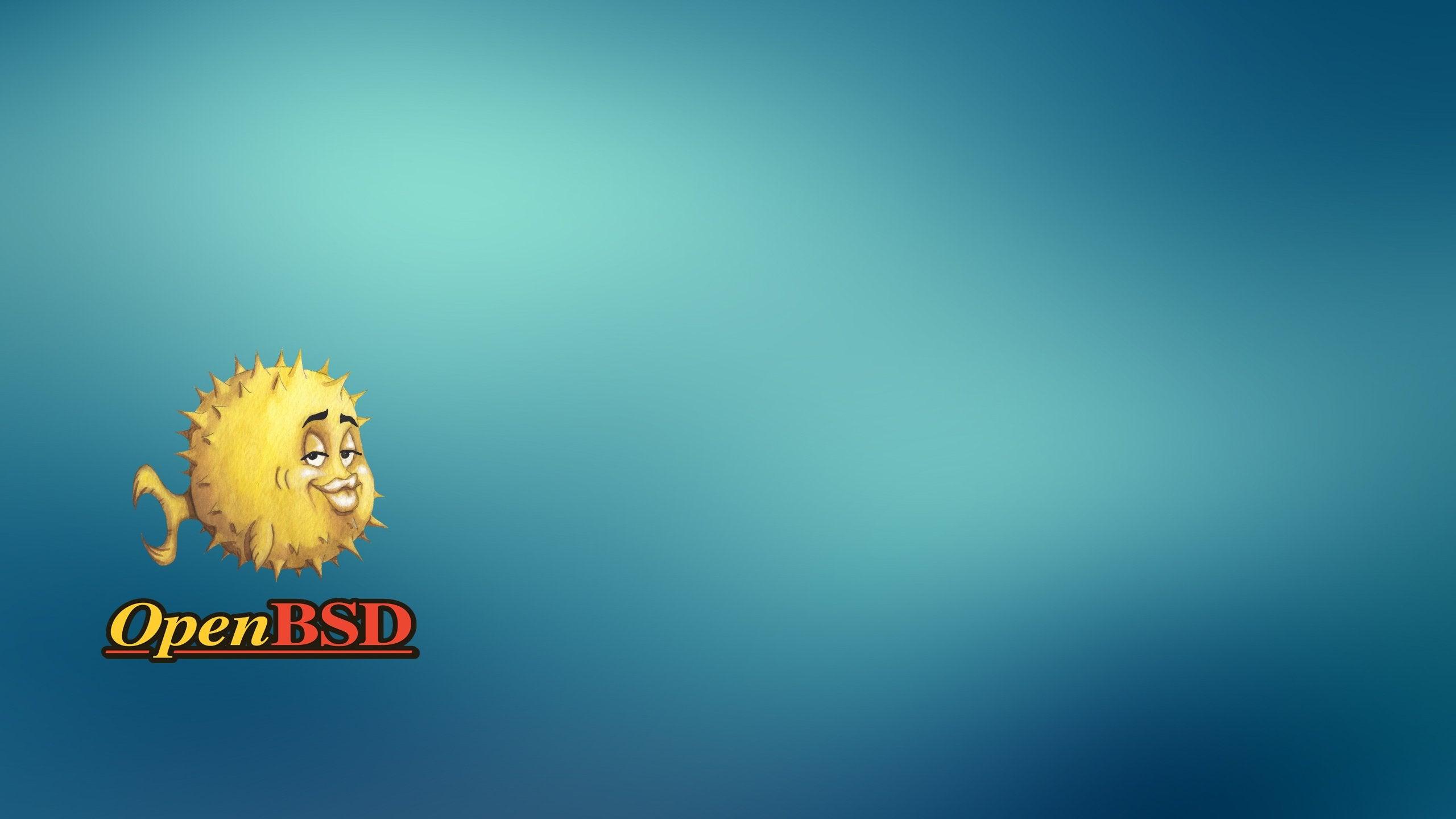 OpenBSD Wallpapers - Top Free OpenBSD Backgrounds - WallpaperAccess