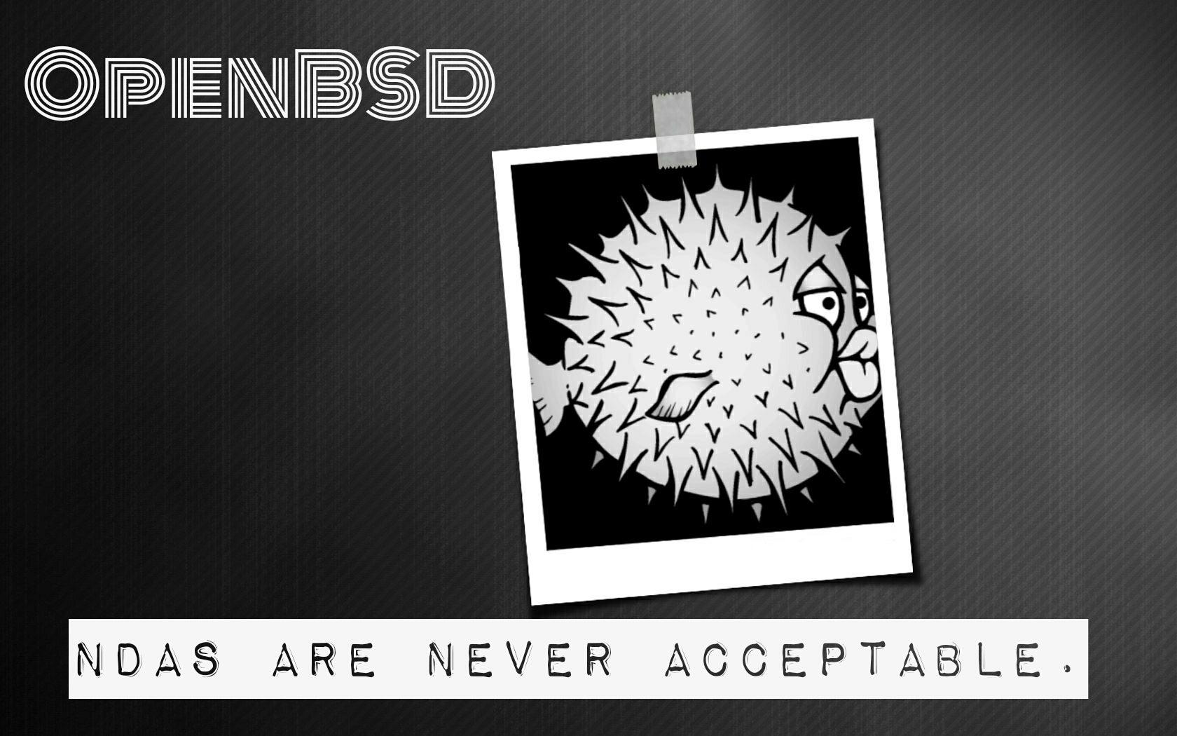 OpenBSD Wallpapers - Top Free OpenBSD Backgrounds - WallpaperAccess