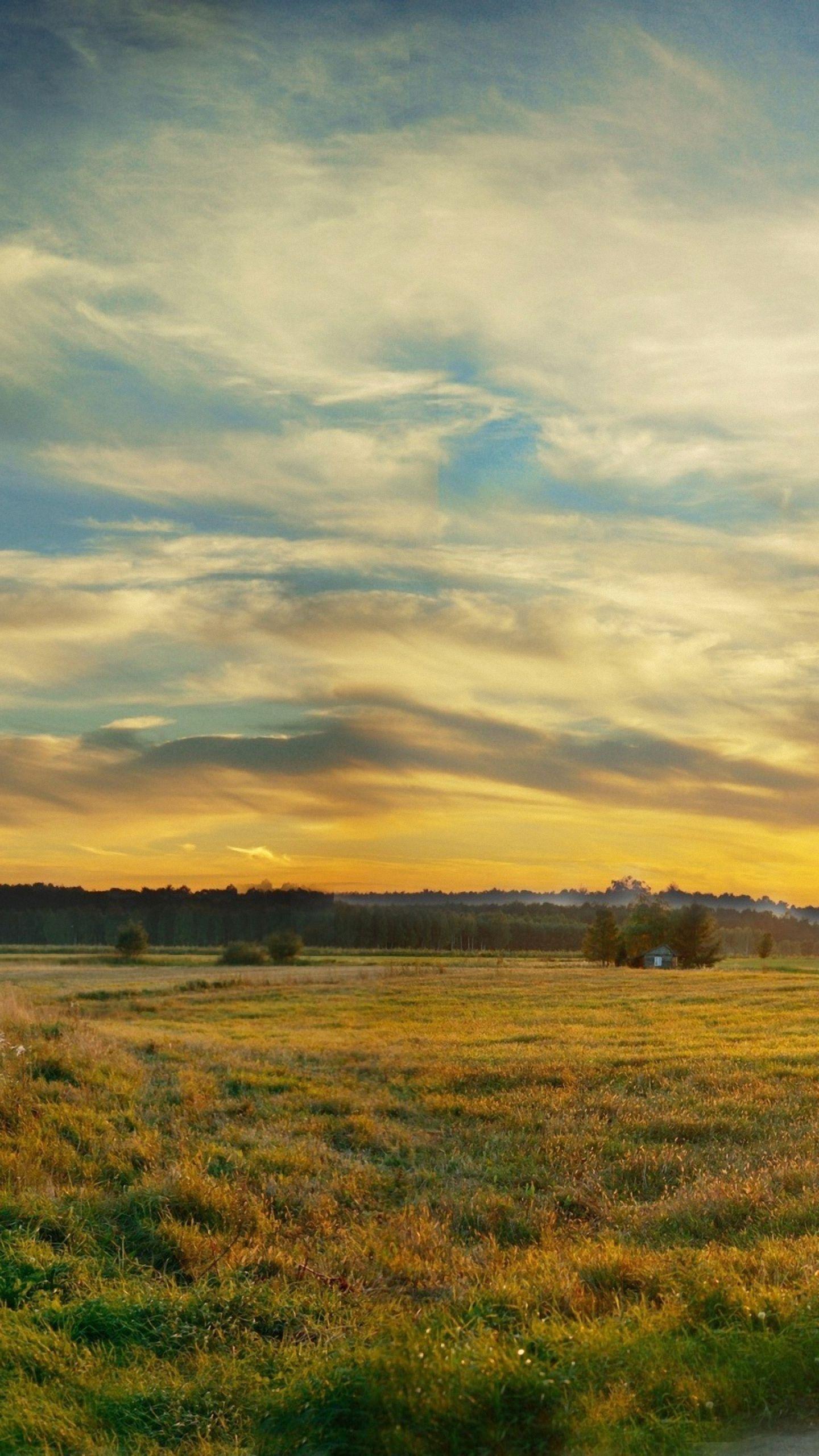 Mi5 Wallpapers - Top Free Mi5 Backgrounds - WallpaperAccess