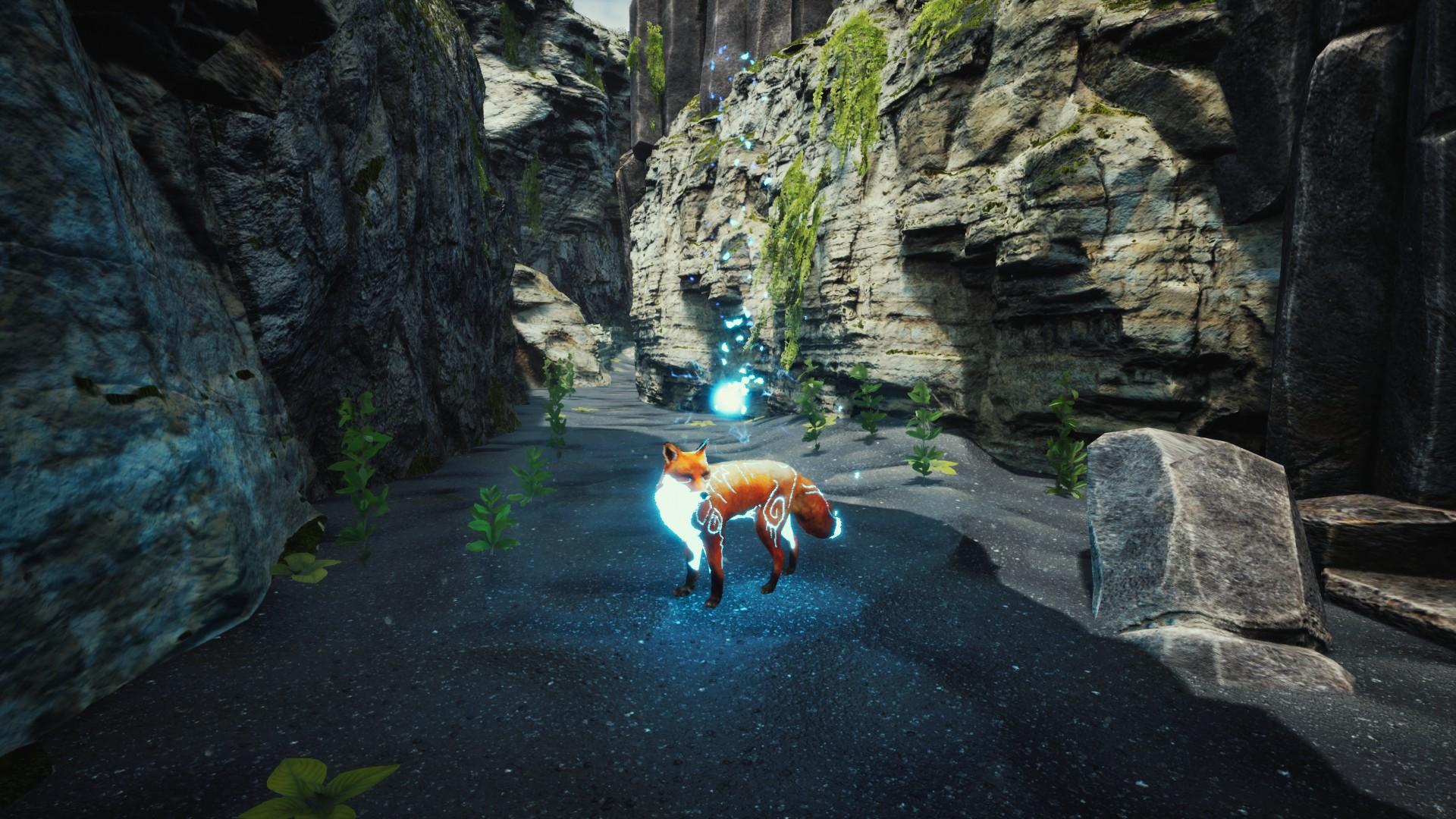 Spirit Fox Wallpapers - Top Free Spirit Fox Backgrounds - WallpaperAccess