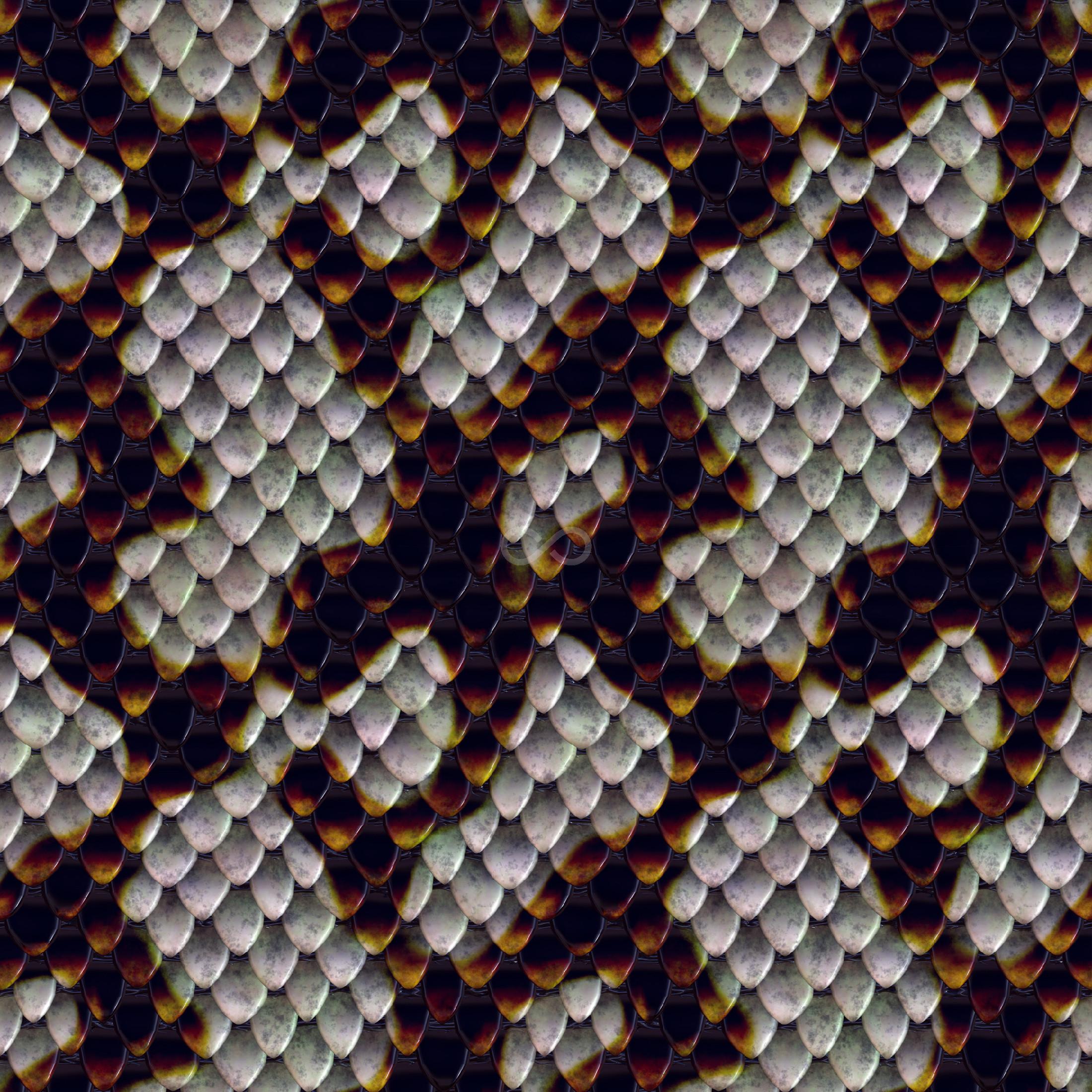 Dragon Scales Wallpapers - Top Free Dragon Scales Backgrounds ...