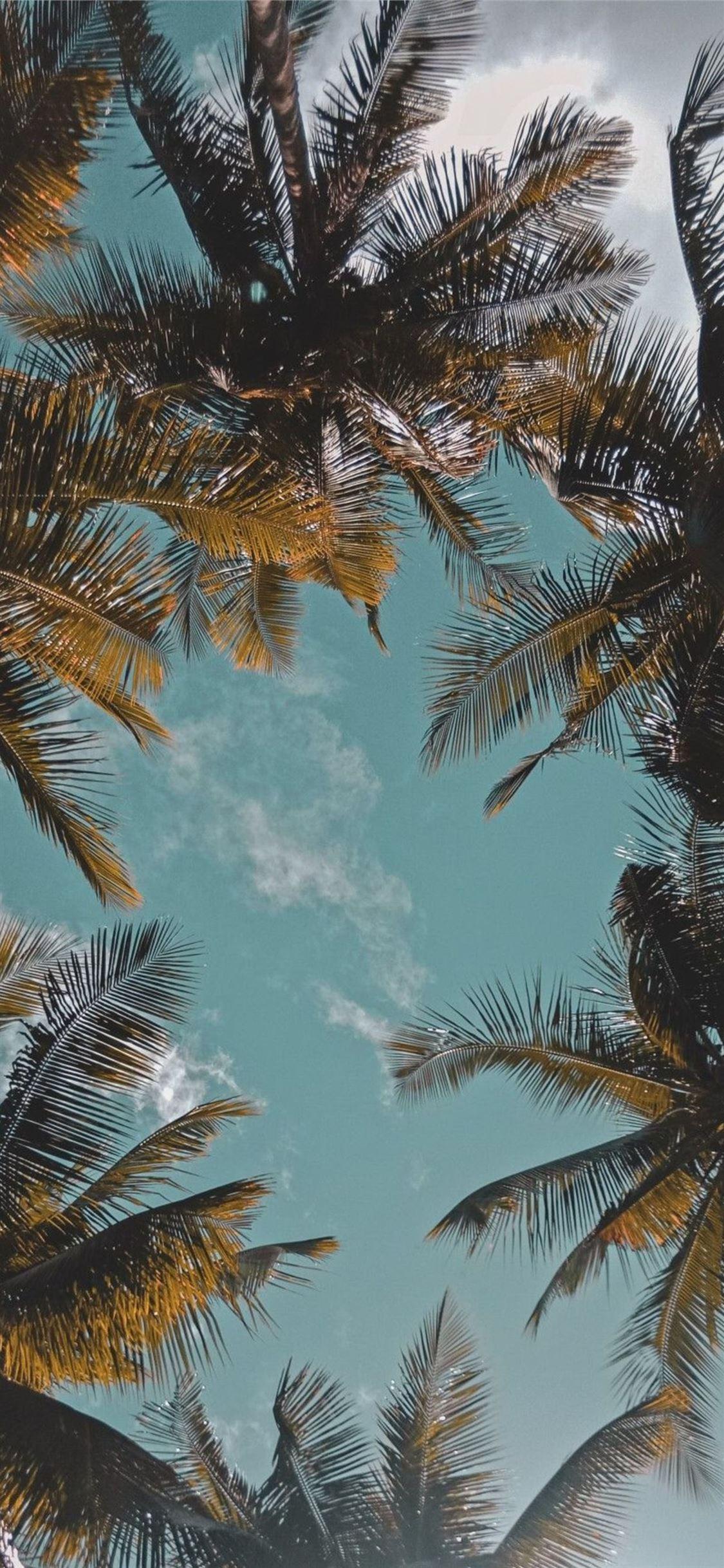 Enjoy Life Wallpapers - Top Free Enjoy Life Backgrounds - WallpaperAccess