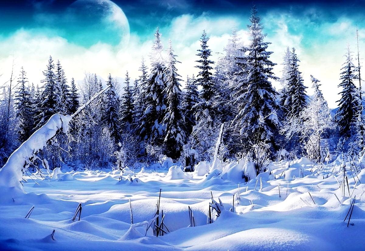 Winter Fantasy Wallpapers - Top Free Winter Fantasy Backgrounds ...