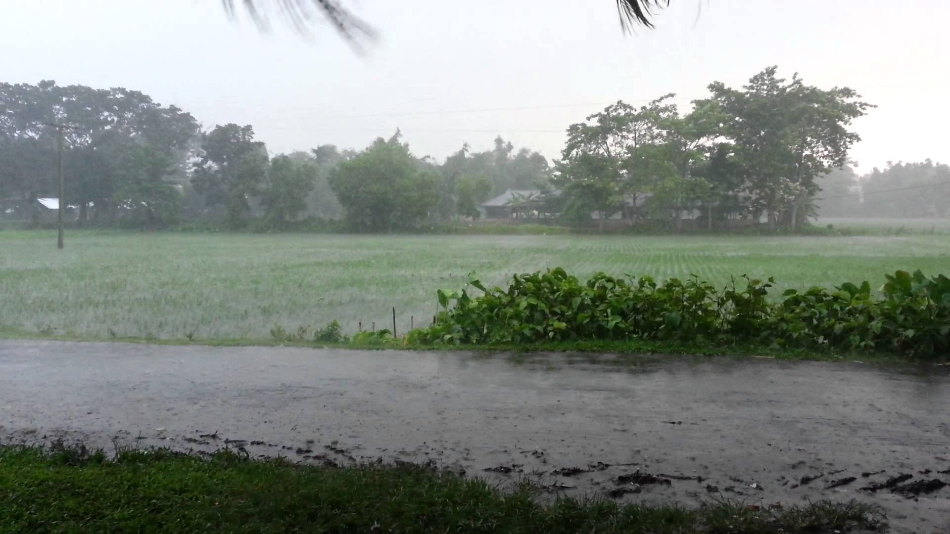 Rain Village Wallpapers - Top Free Rain Village Backgrounds ...