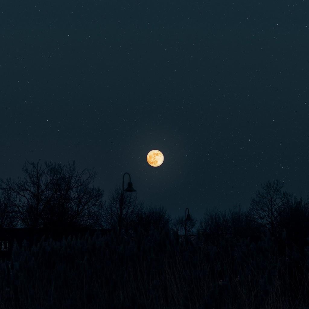 Night Sky Moon Wallpapers - Top Free Night Sky Moon Backgrounds ...