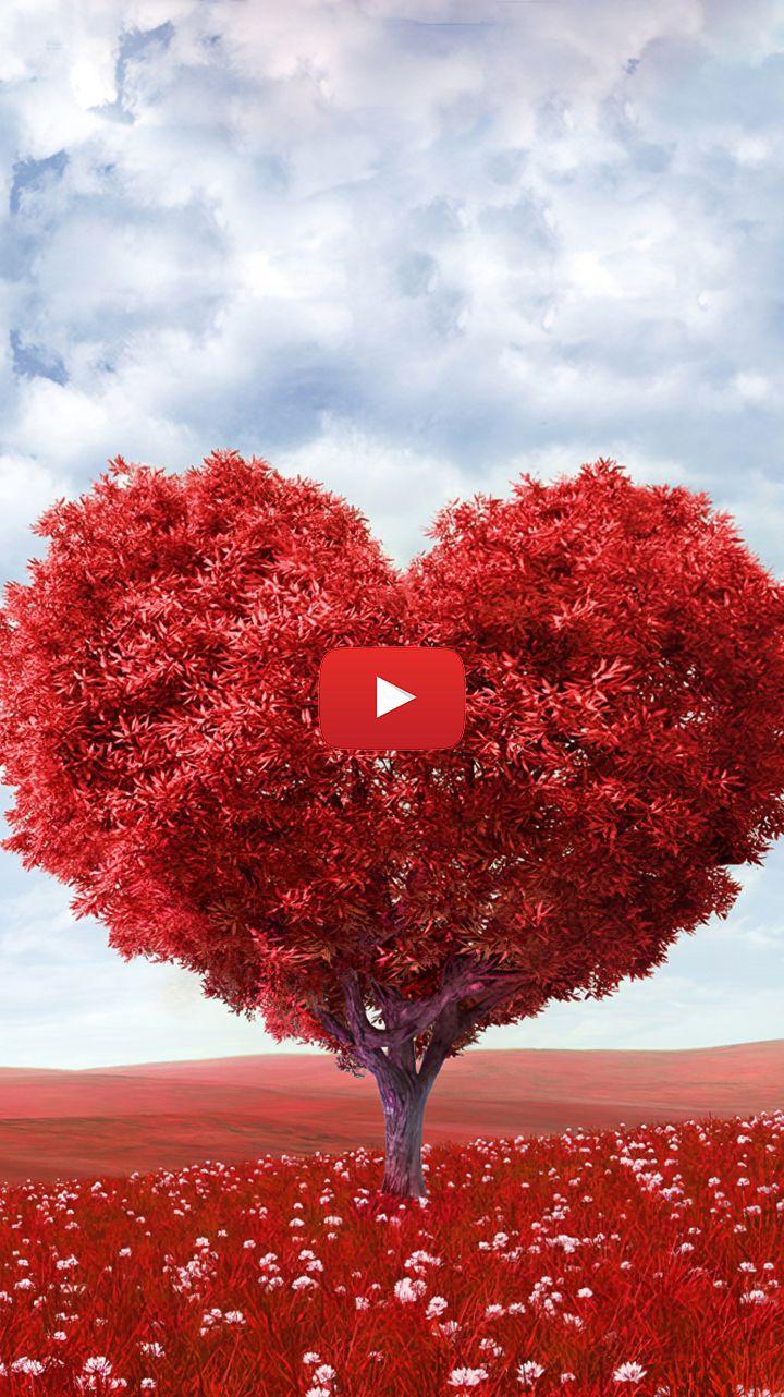 Big Heart Wallpapers - Top Free Big Heart Backgrounds - WallpaperAccess