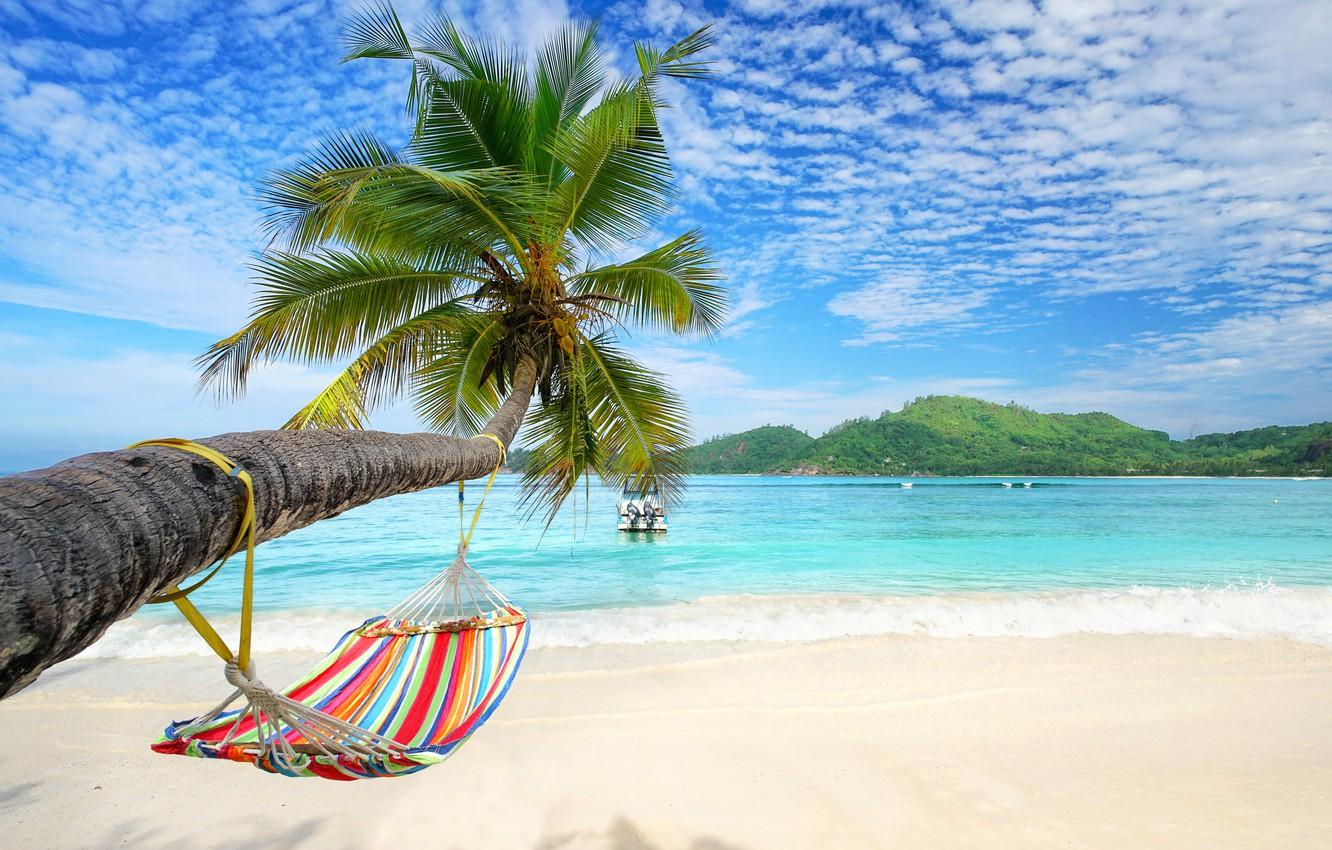 Beach Hammock Wallpapers Top Free Beach Hammock Backgrounds ... Beach Hammock Wallpapers Top Free Beach Hammock Backgrounds ...