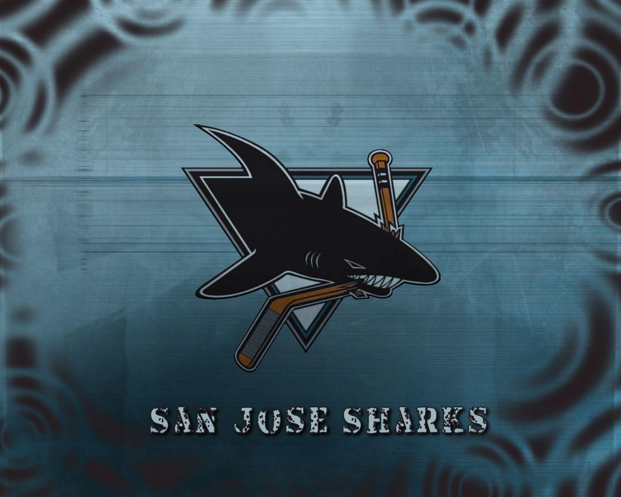 SJ Sharks Wallpapers - Top Free SJ Sharks Backgrounds - WallpaperAccess