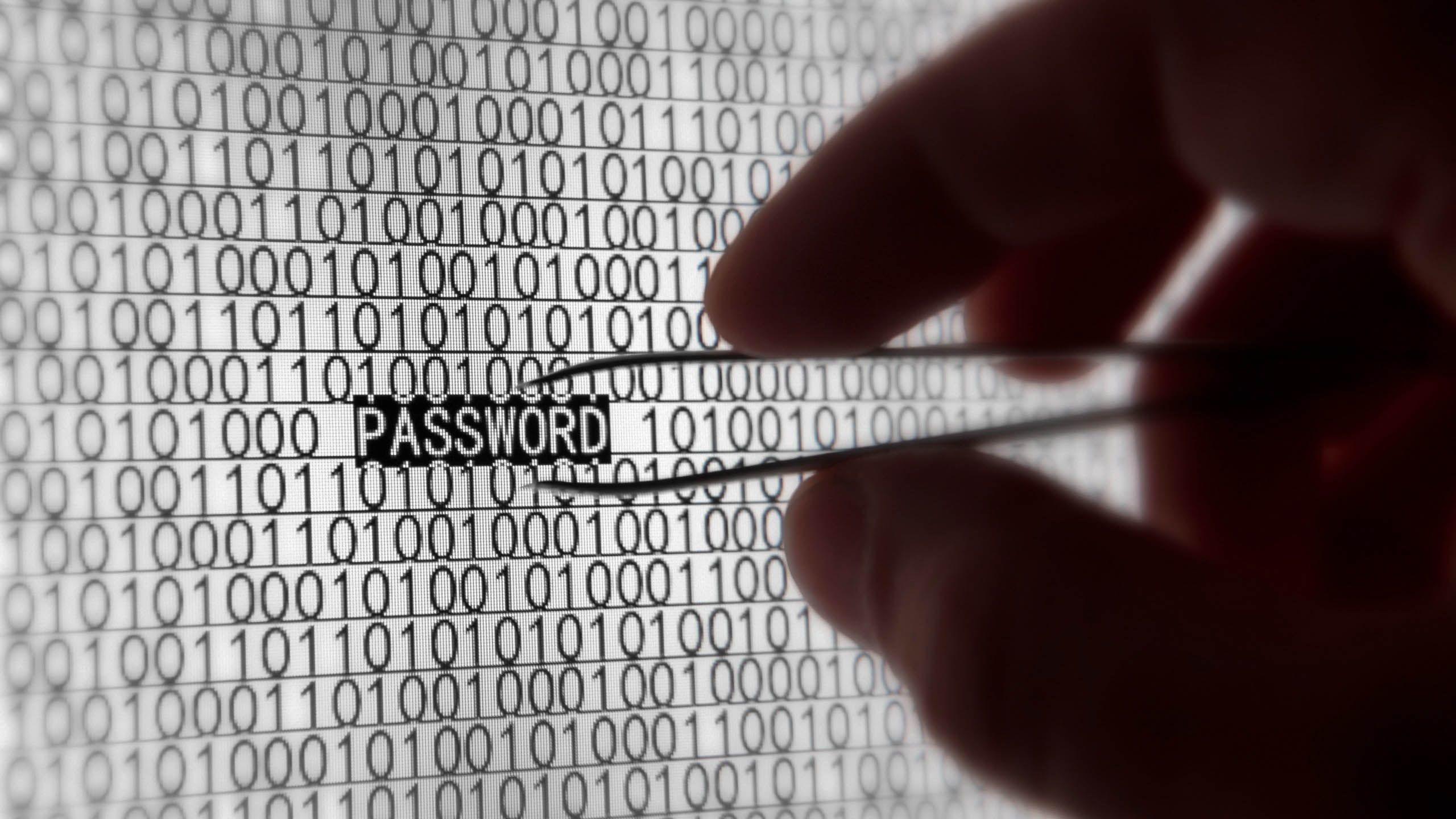 Funny Hacker Wallpapers - Top Free Funny Hacker Backgrounds ...