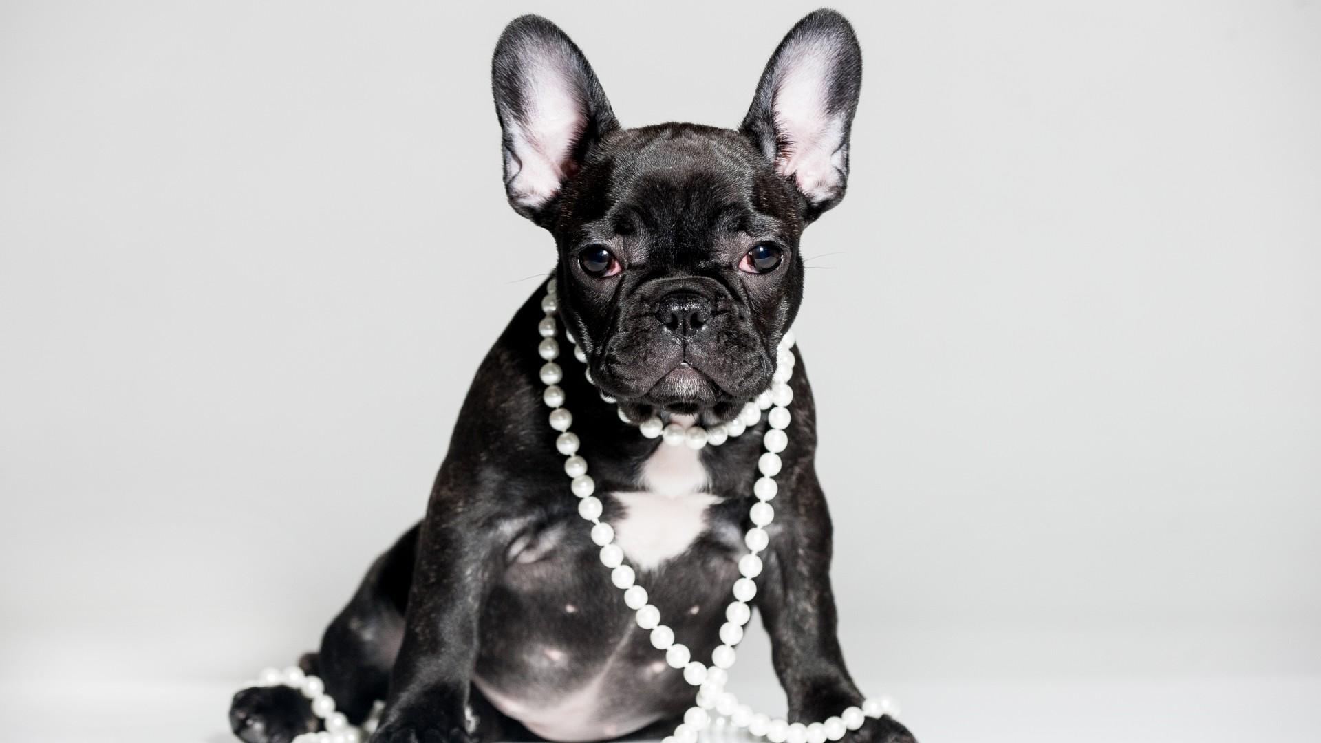 Cute French Wallpapers - Top Free Cute French Backgrounds - WallpaperAccess