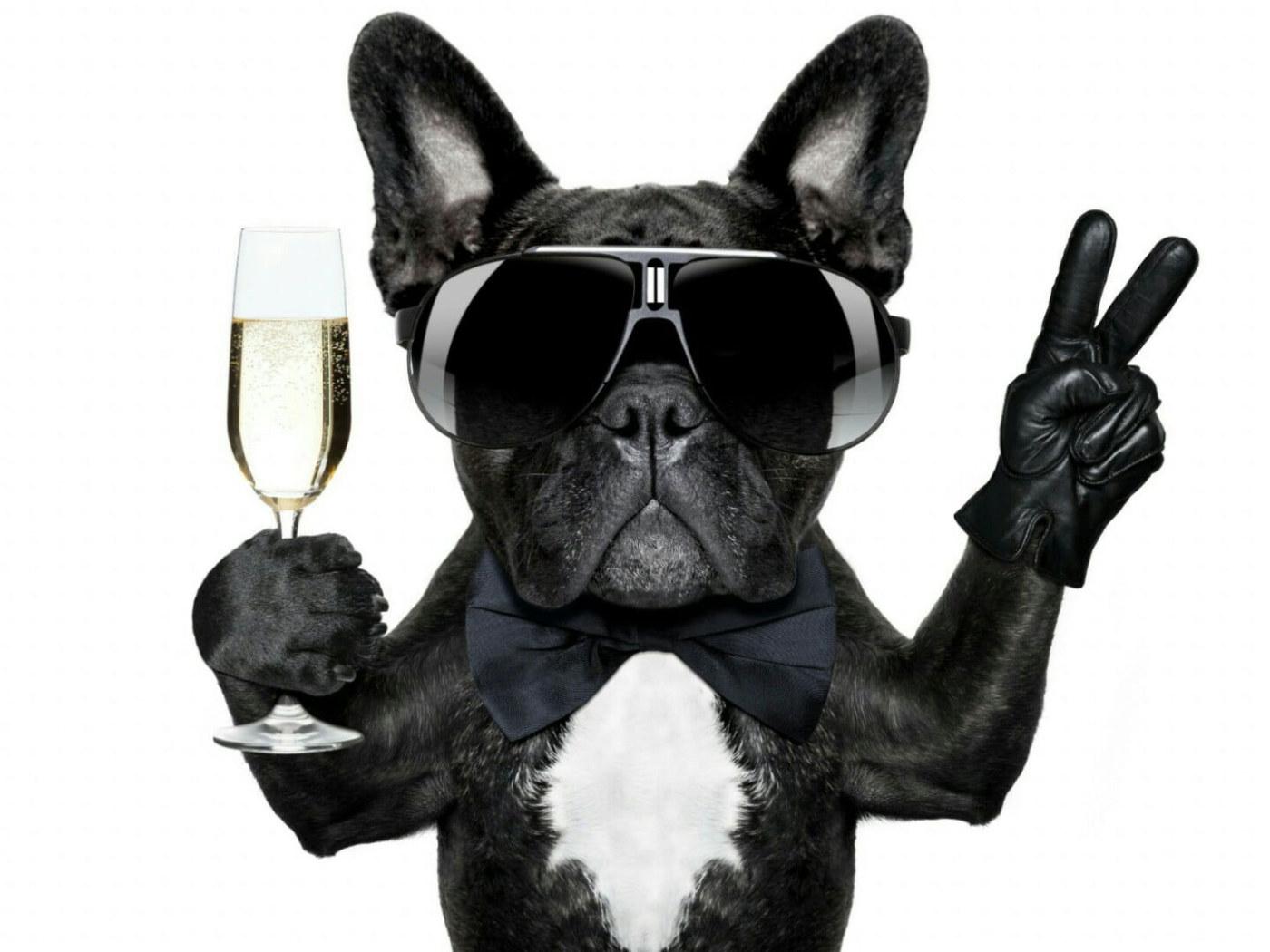 Cute French Wallpapers - Top Free Cute French Backgrounds - WallpaperAccess