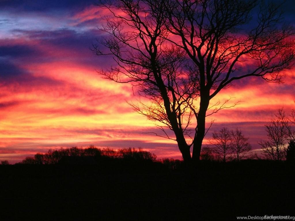 Black Sunset Wallpapers - Top Free Black Sunset Backgrounds ...