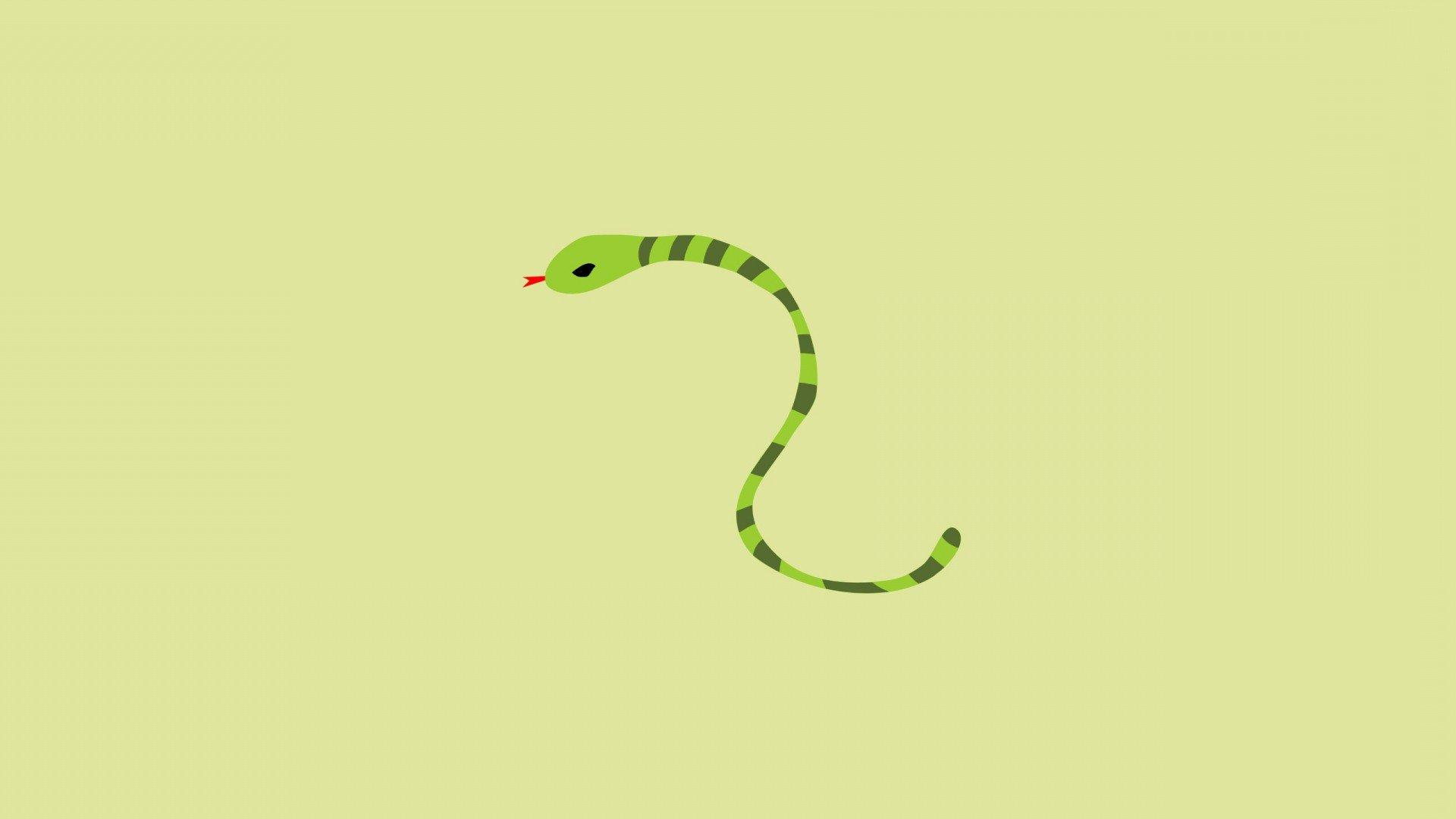 Minimalist Snake Wallpapers - Top Free Minimalist Snake Backgrounds ...